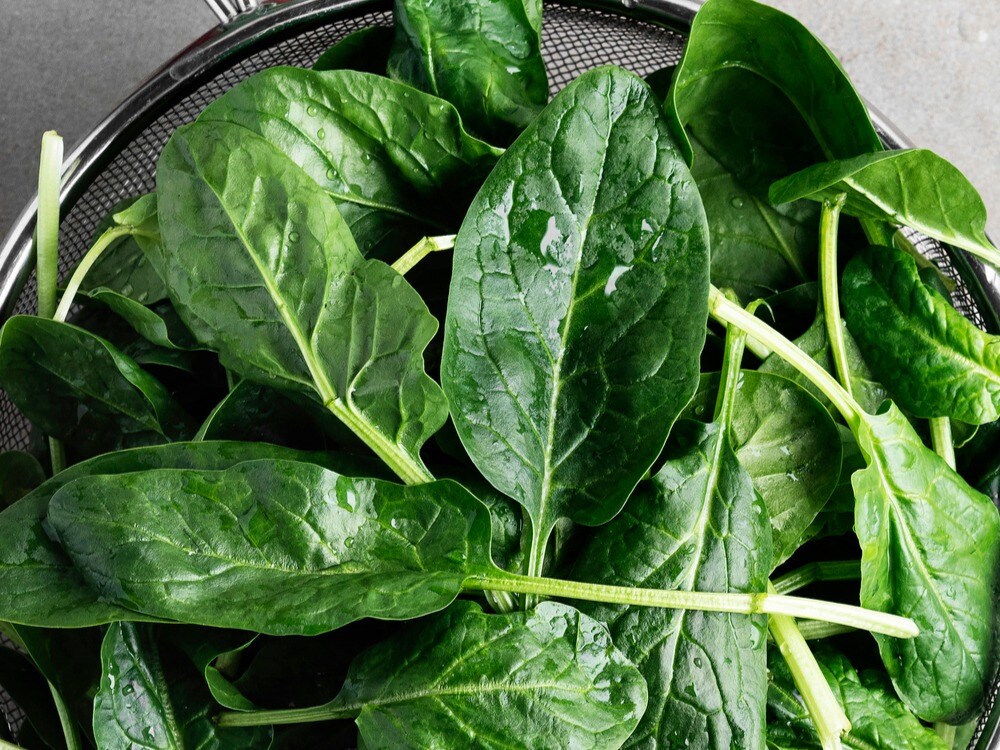 5 Tips To Keep Spinach (Palak) Fresh Longer