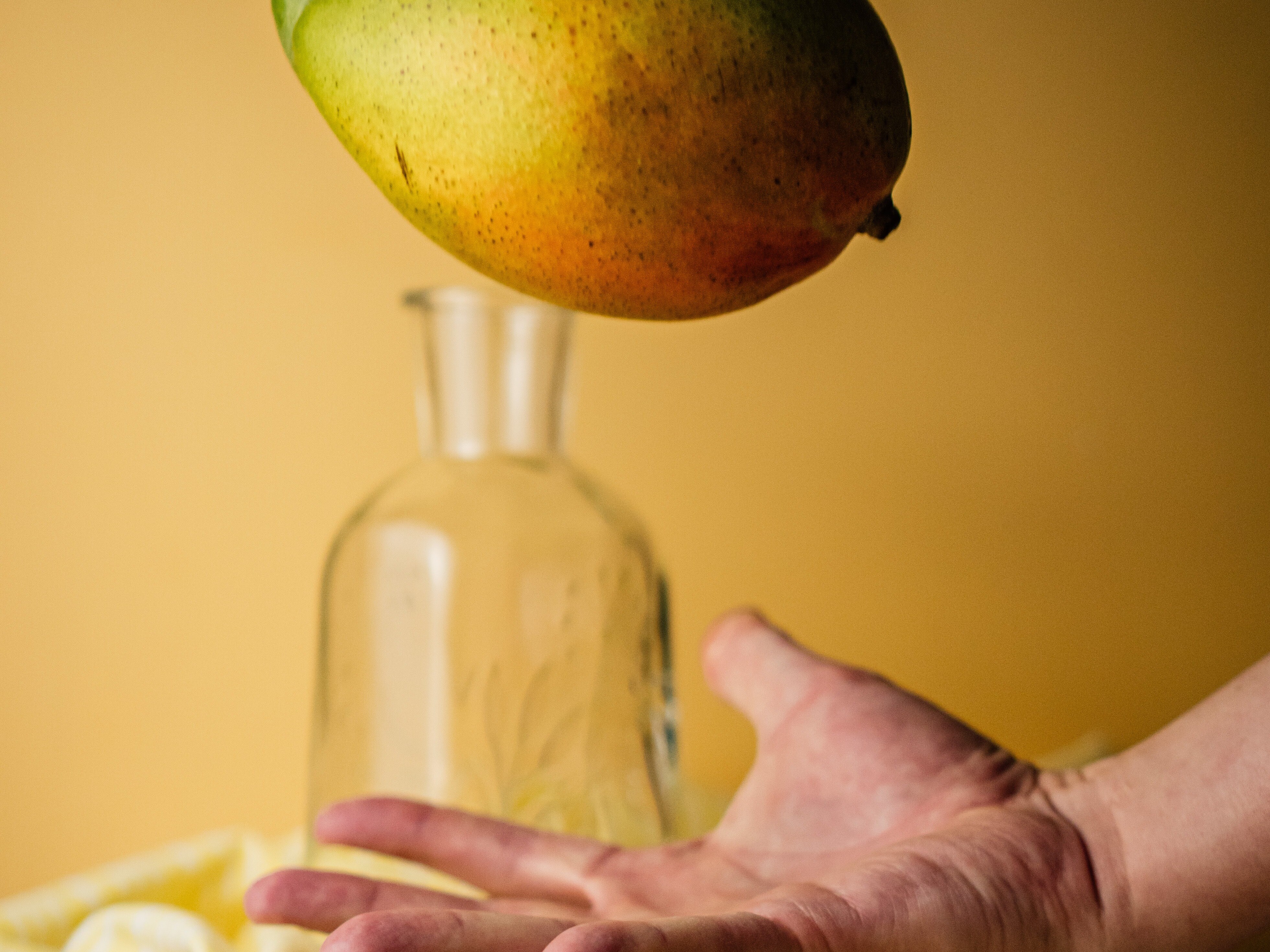 5 Ways To Preserve Mango Through The Year