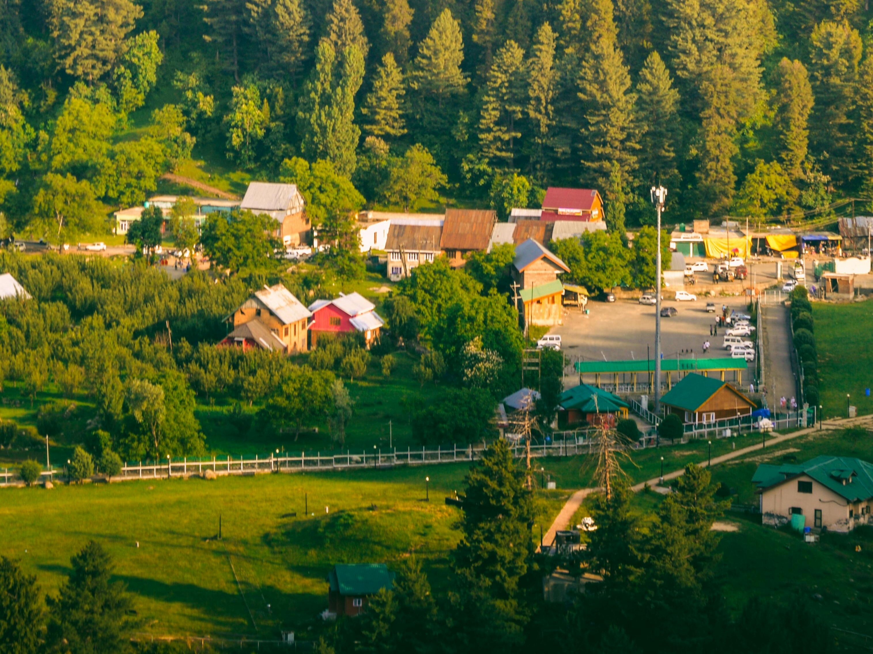 6 Must‑Do Things In Chail (Himachal Pradesh)
