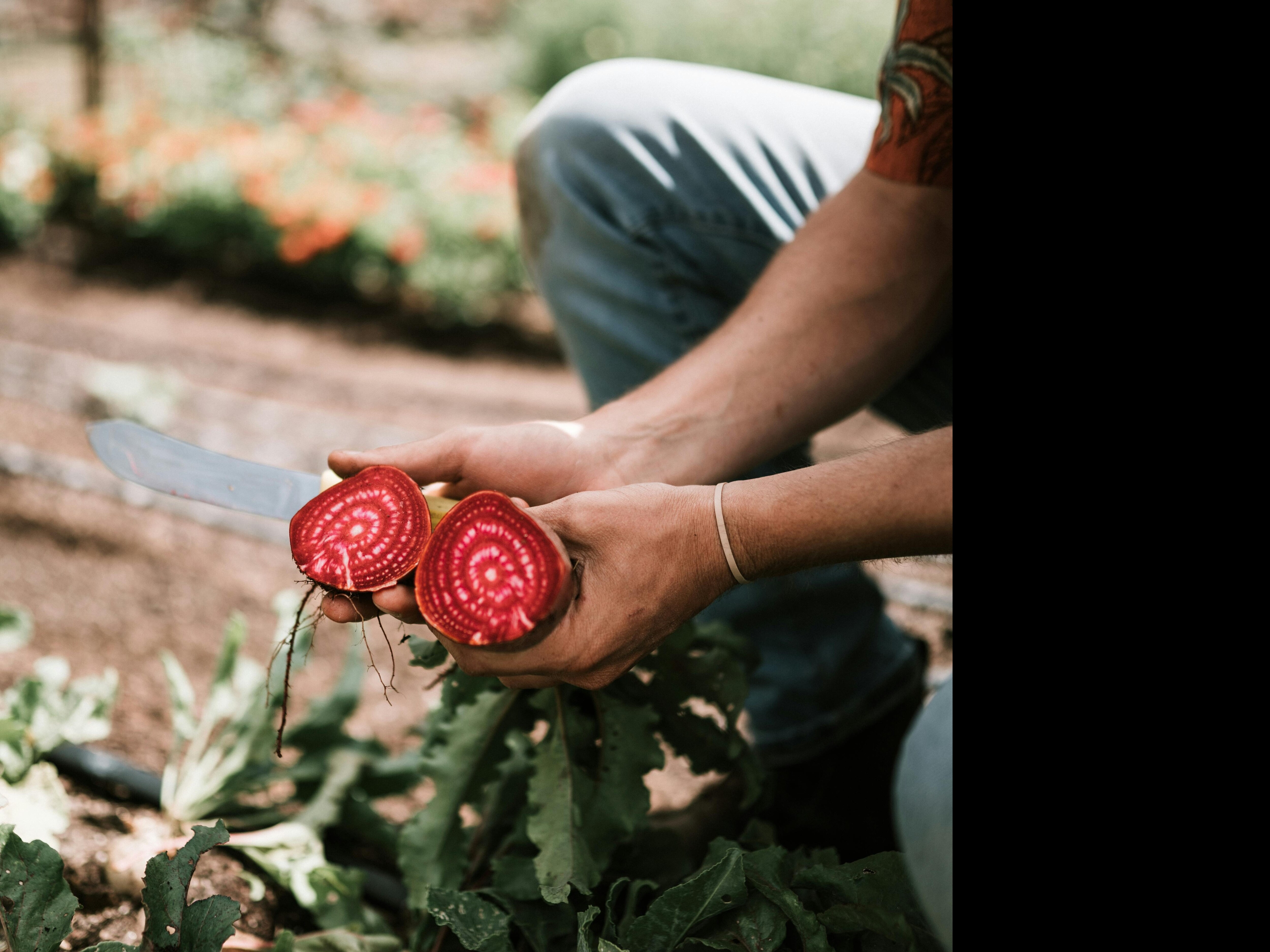 7 Benefits Of Beetroot In Winter