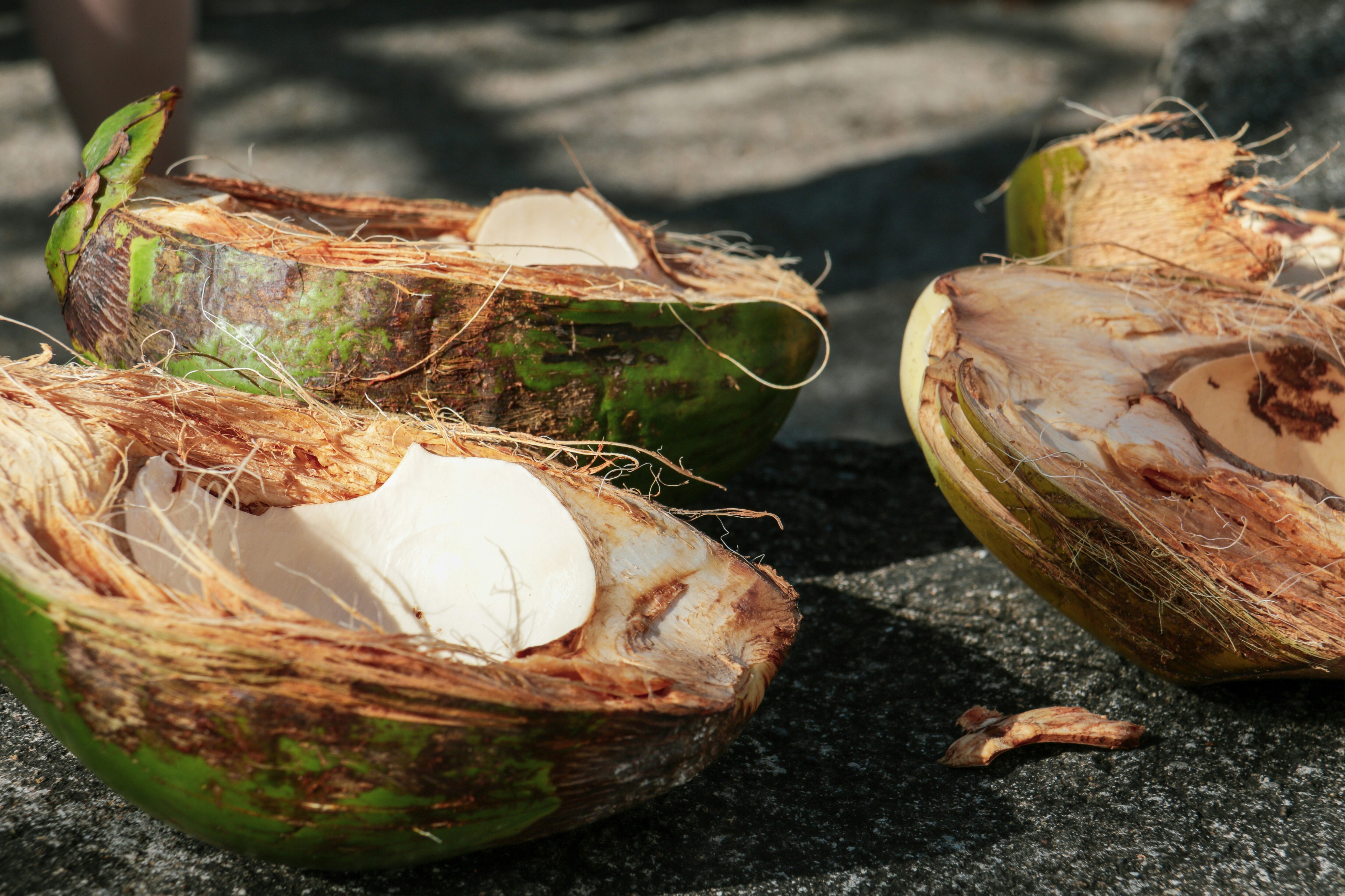 Green Coconut Husk Uses
