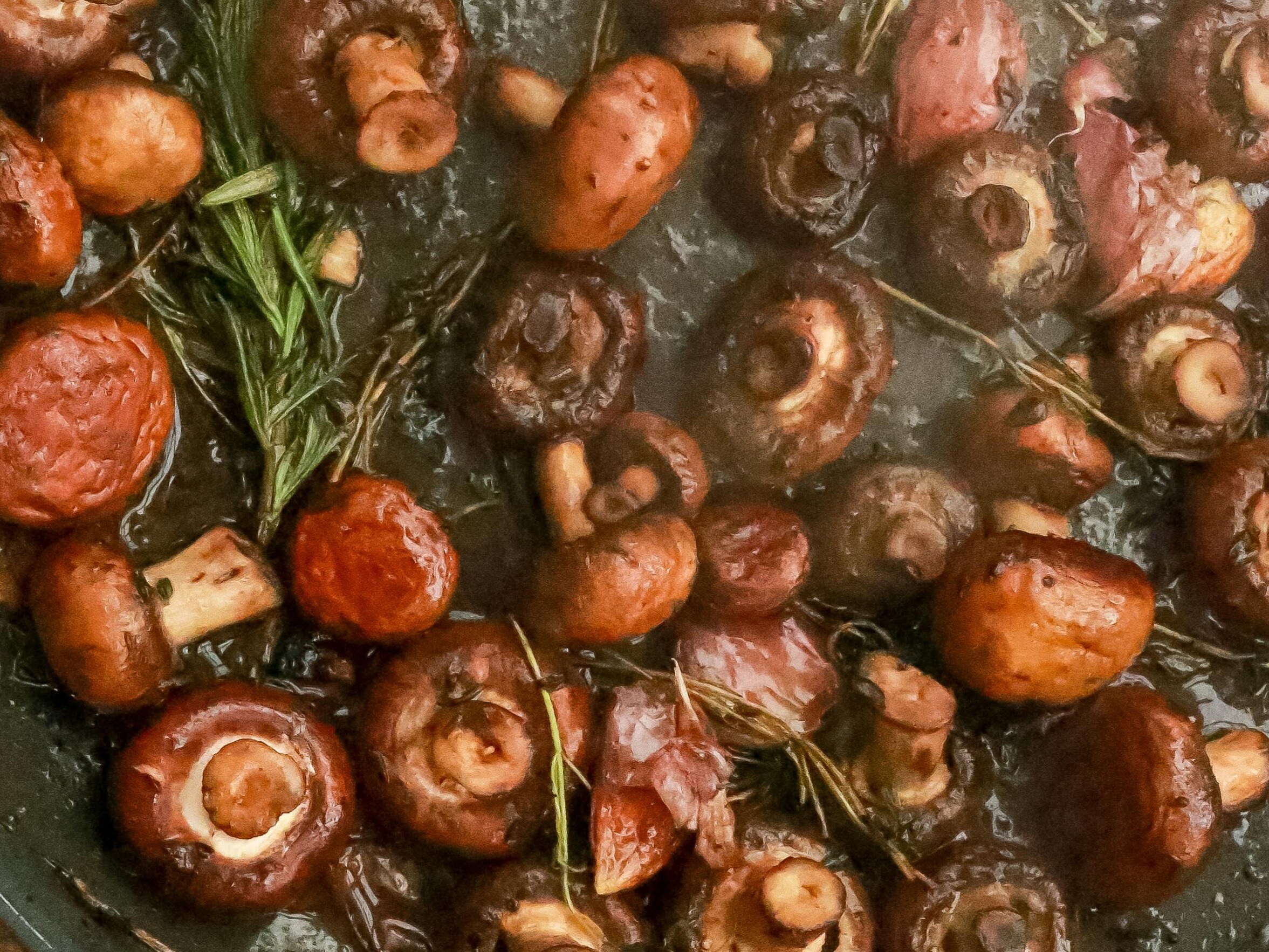7 Fun Mushroom Recipes You Will Love