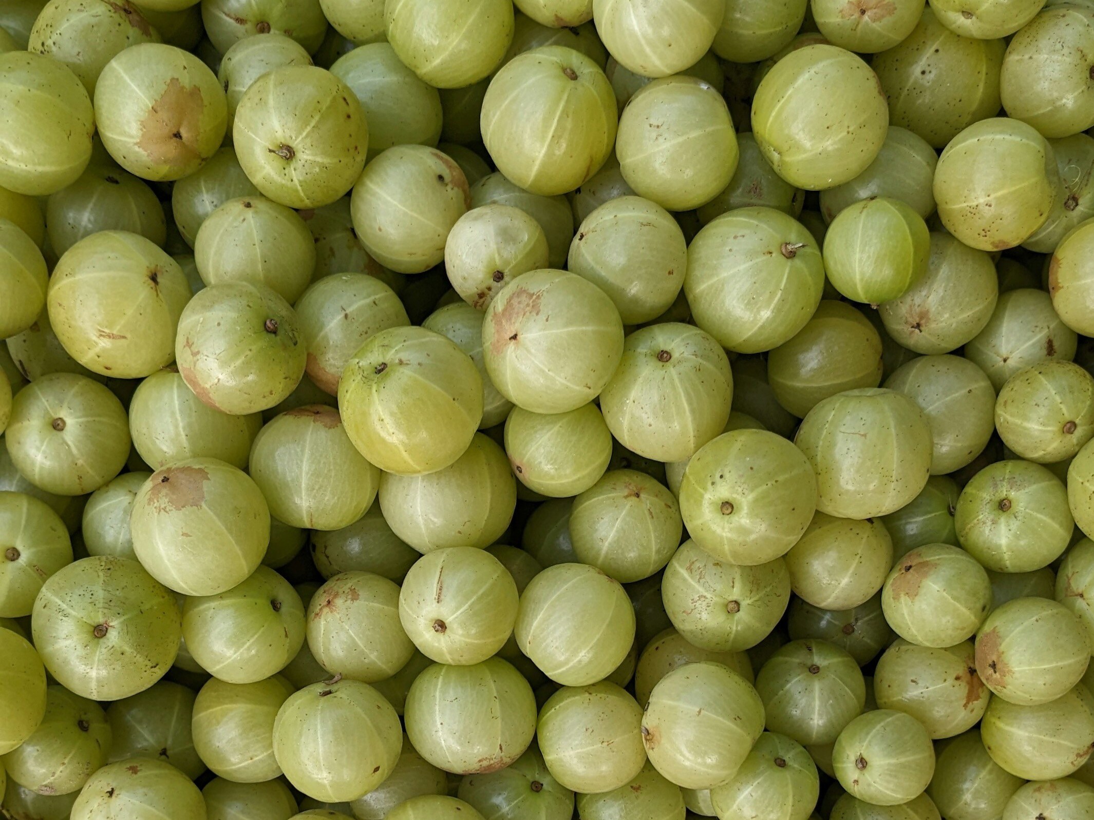 7 Health Benefits Of Amla Juice In Winter