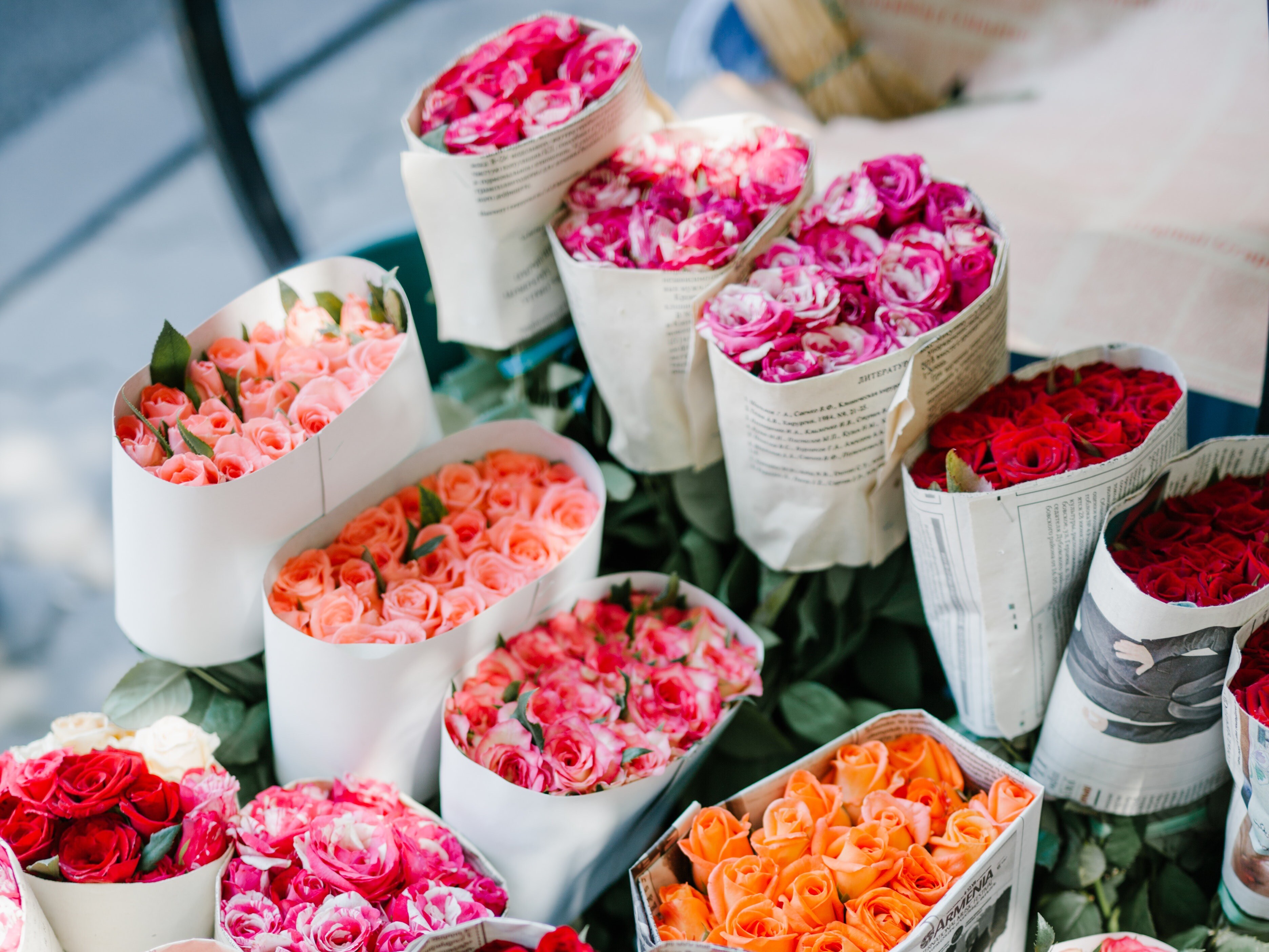 7 Types Of Roses And Their Uses