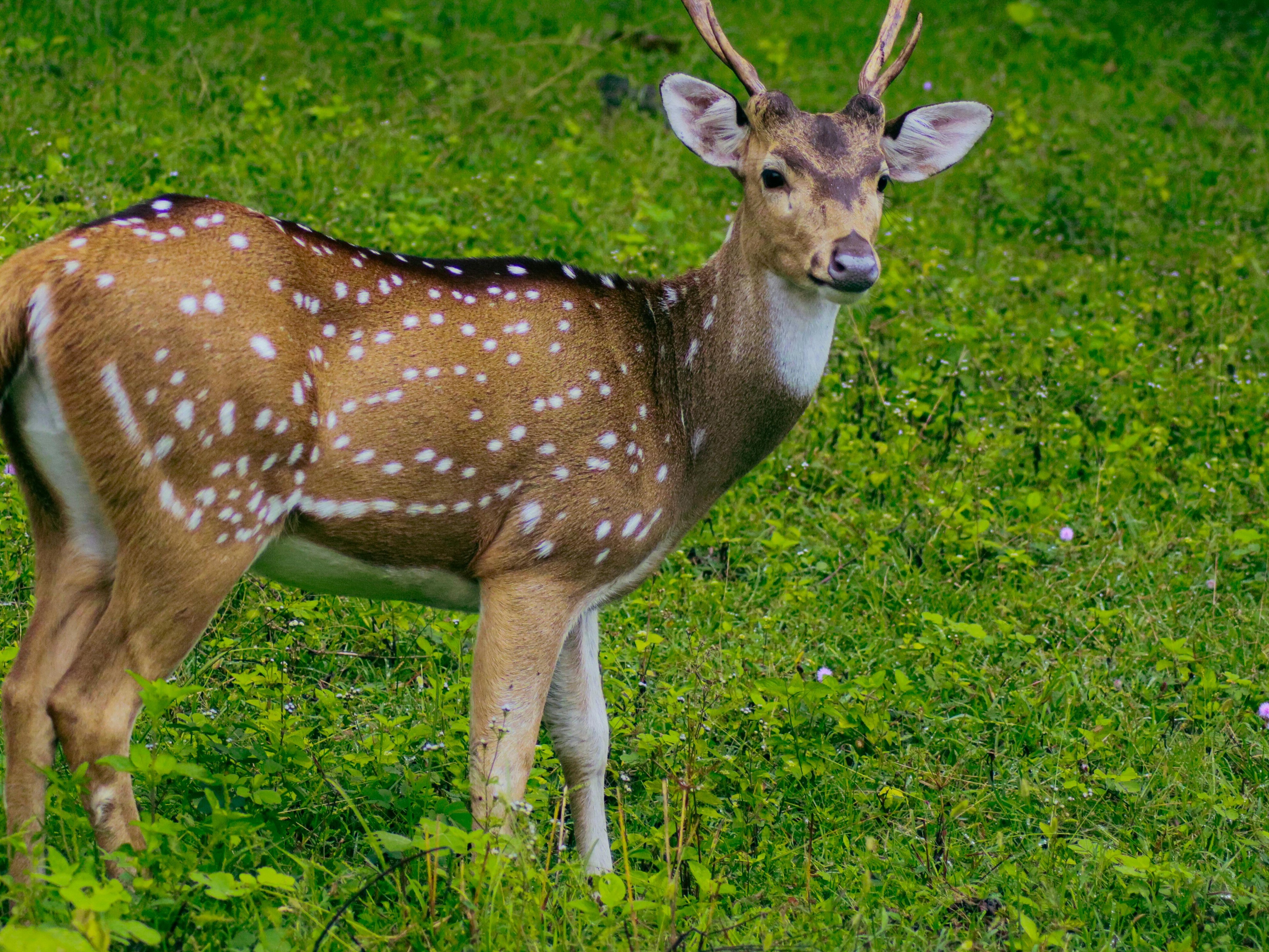 8 Reasons To Visit Bhitarkanika National Park In Odisha