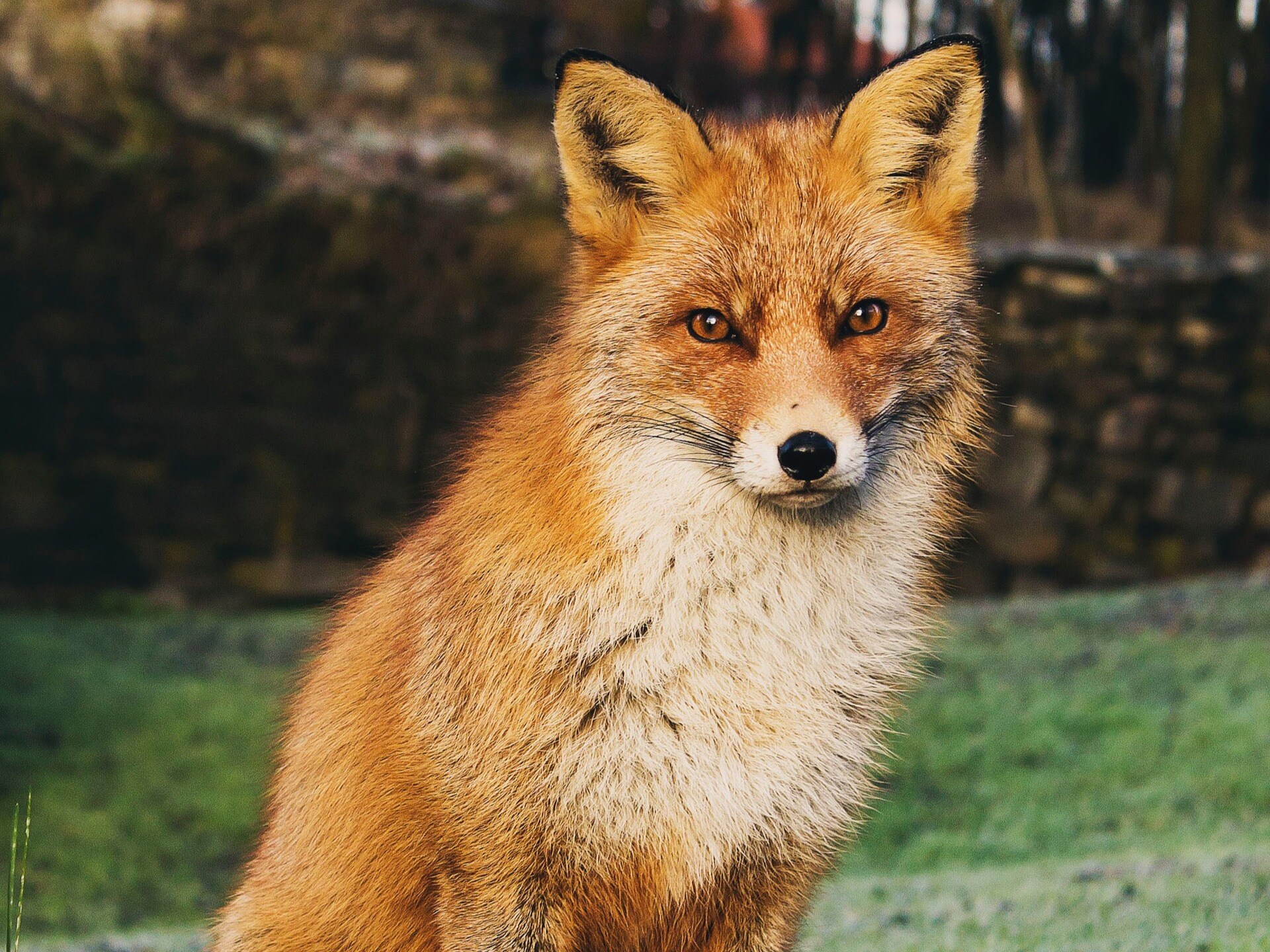 ????? ?? ??????? ??? ????? ??? ? ????? ????