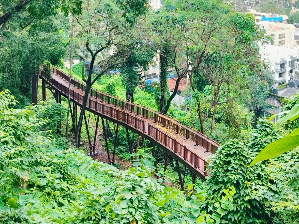 Nisarga Unnat Marg: निसर्ग उन्नत मार्गाला भेट द्यायचीय? अशी करा तिकीट ...