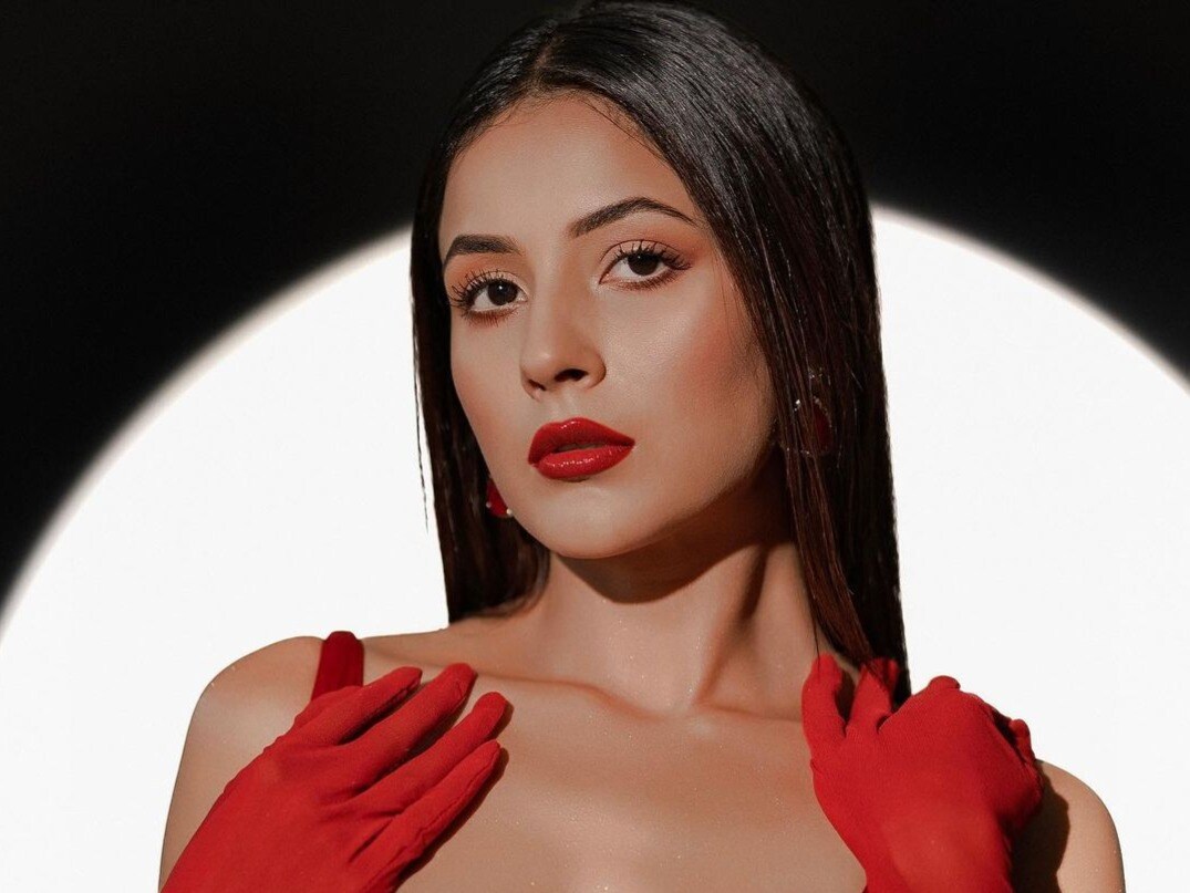 थाई हाई स्लिट ड्रेस में Shehnaaz Kaur Gill का दिखा बेहद ग्लैमरस अवतार ...