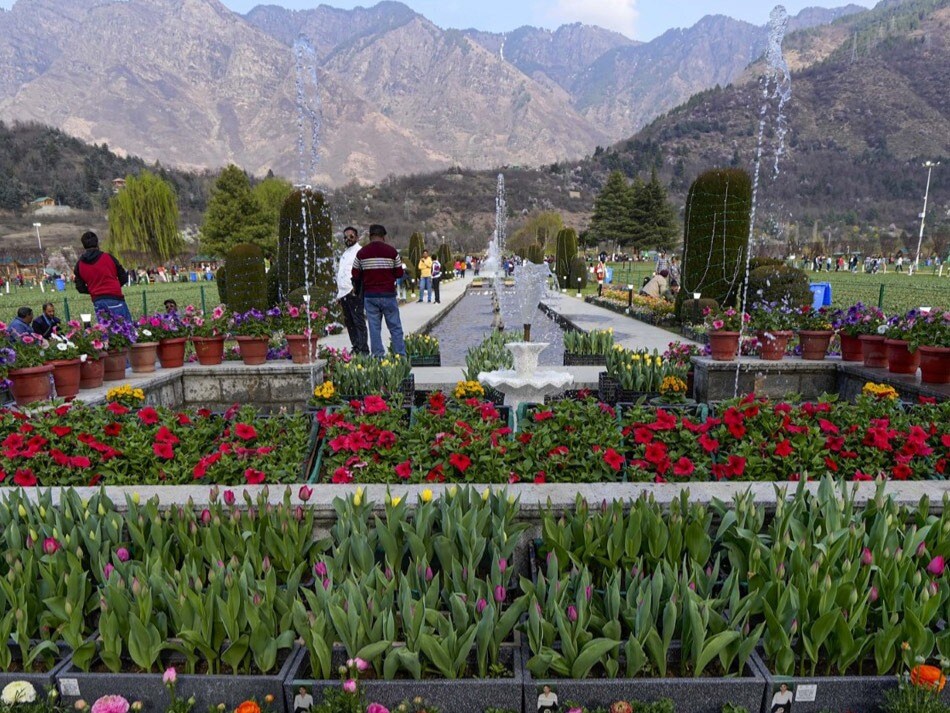 All About Asia's Largest Tulip Garden In Srinagar