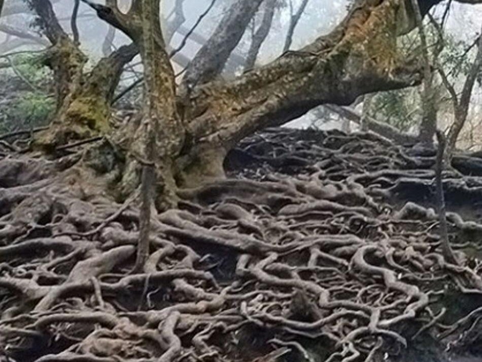 All About Mysterious Guna Caves In Tamil Nadu