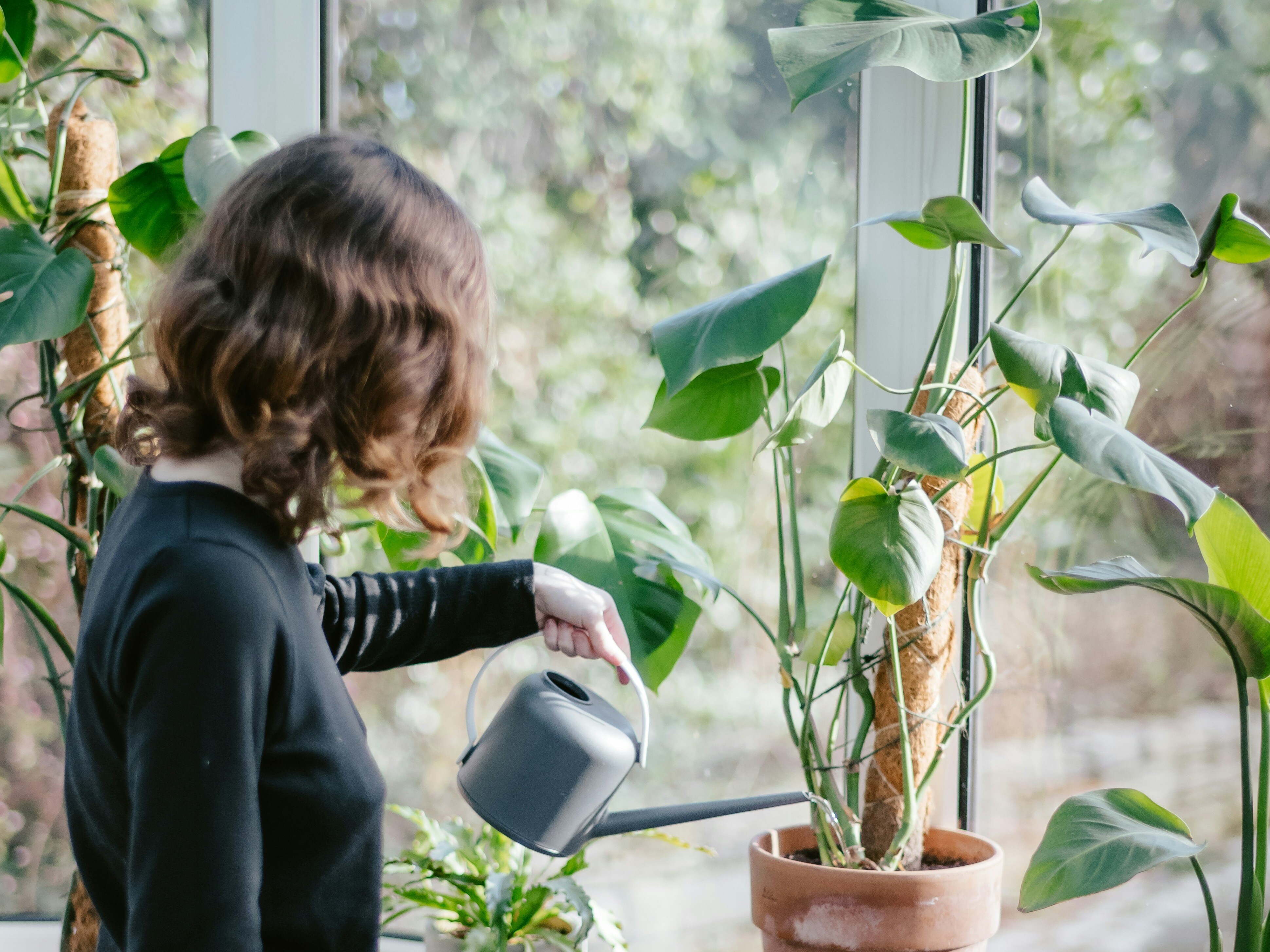 Amazing Health Benefits Of Cactus