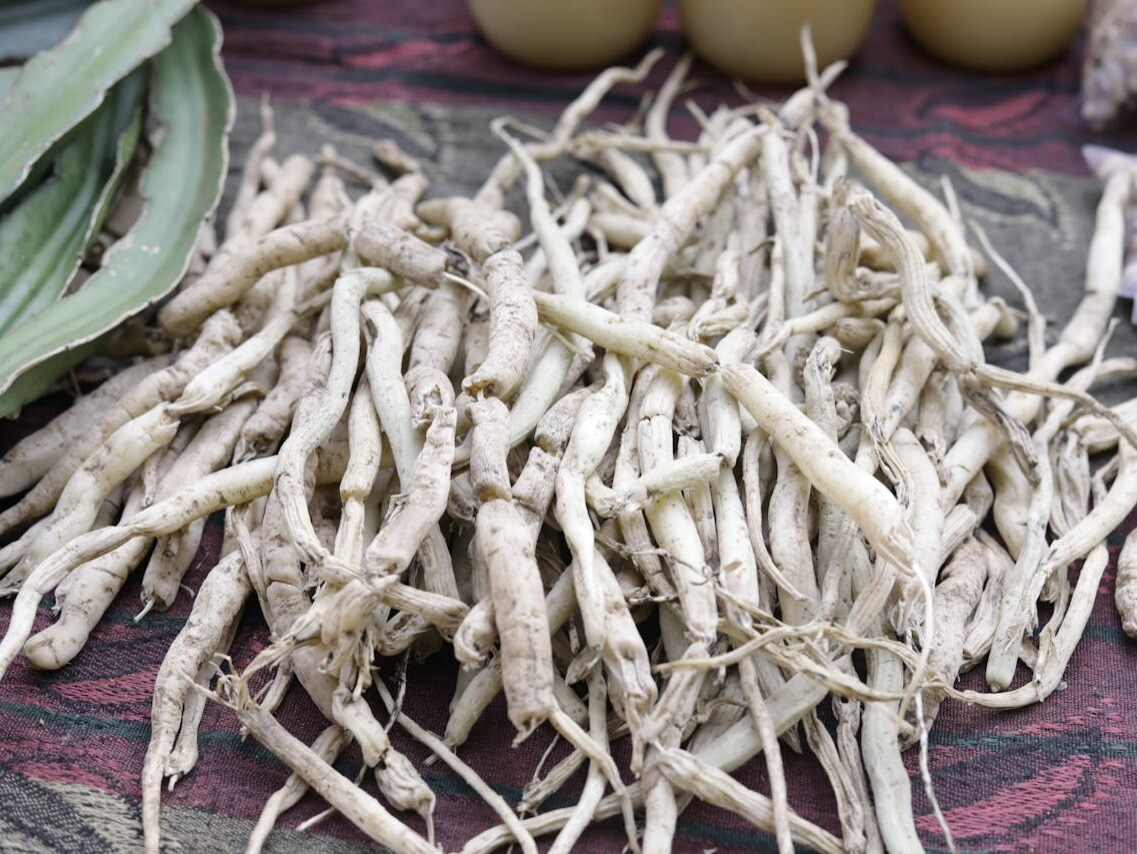 Amazing Health Benefits Of Safed Musli