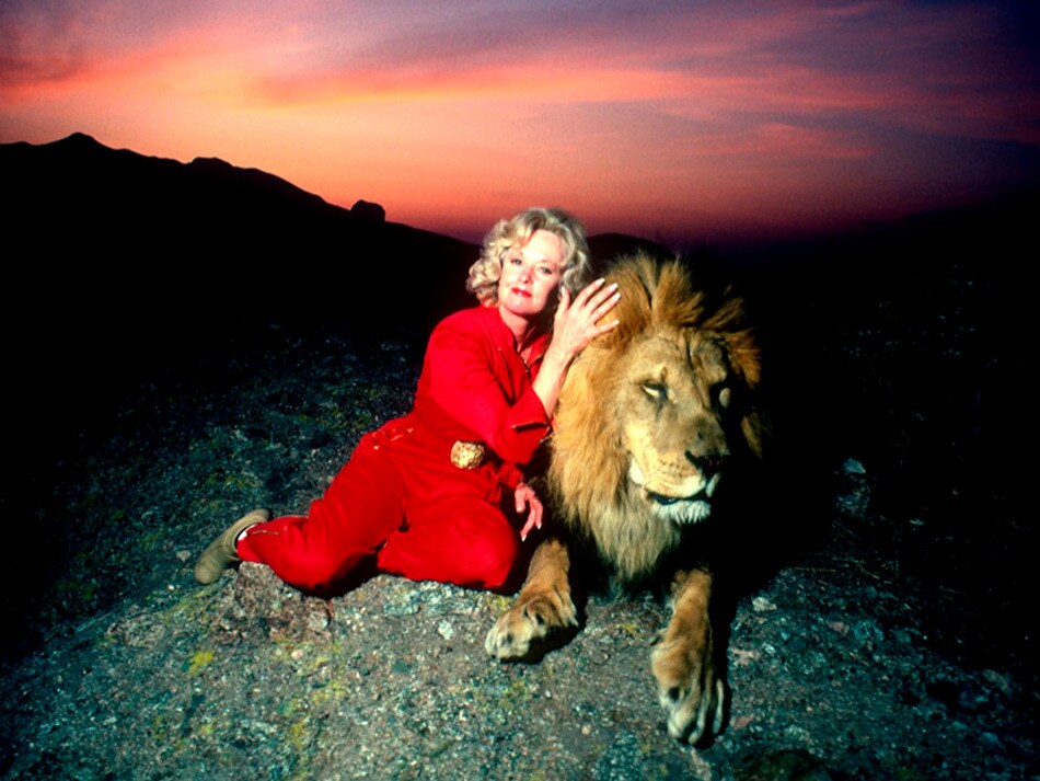 Love Actually: Amy And Ed's Photographic Tale