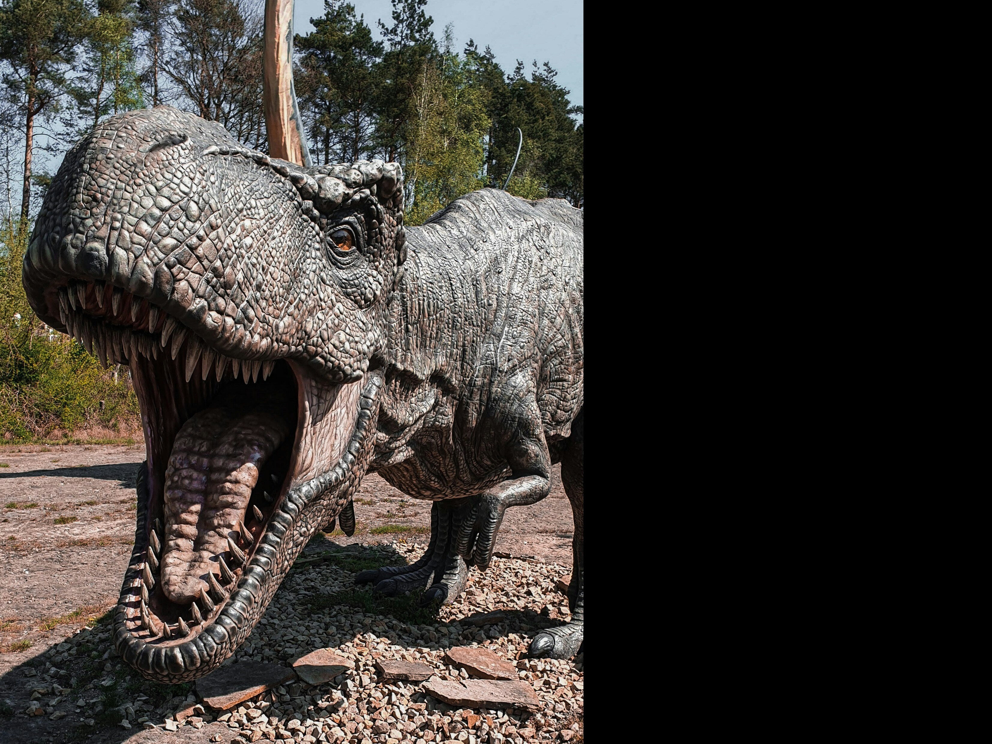 Animals That Lived Before Dinosaurs