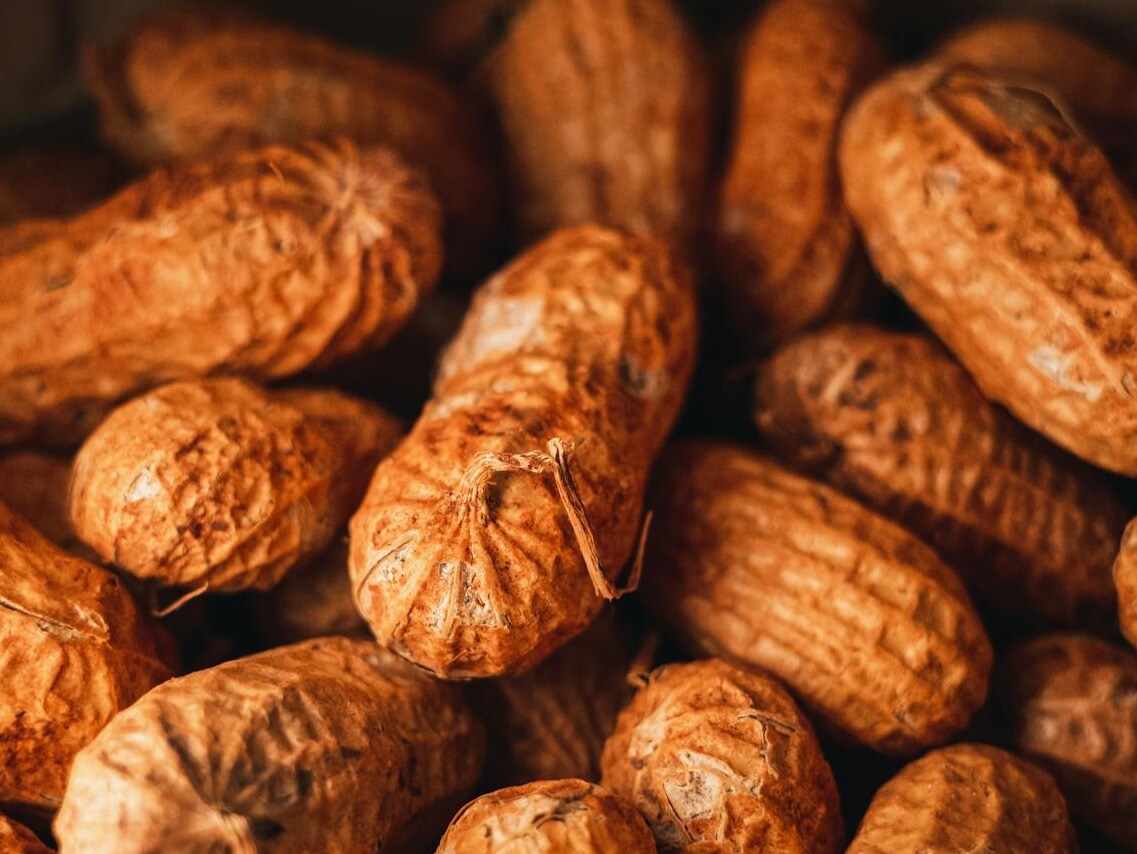 Are Peanuts Good For Weight Loss?