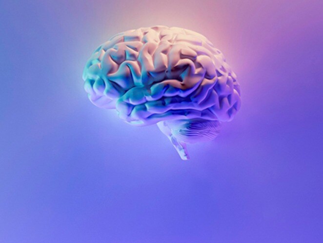 Brain Matter Stuck At Phase Transition: Study