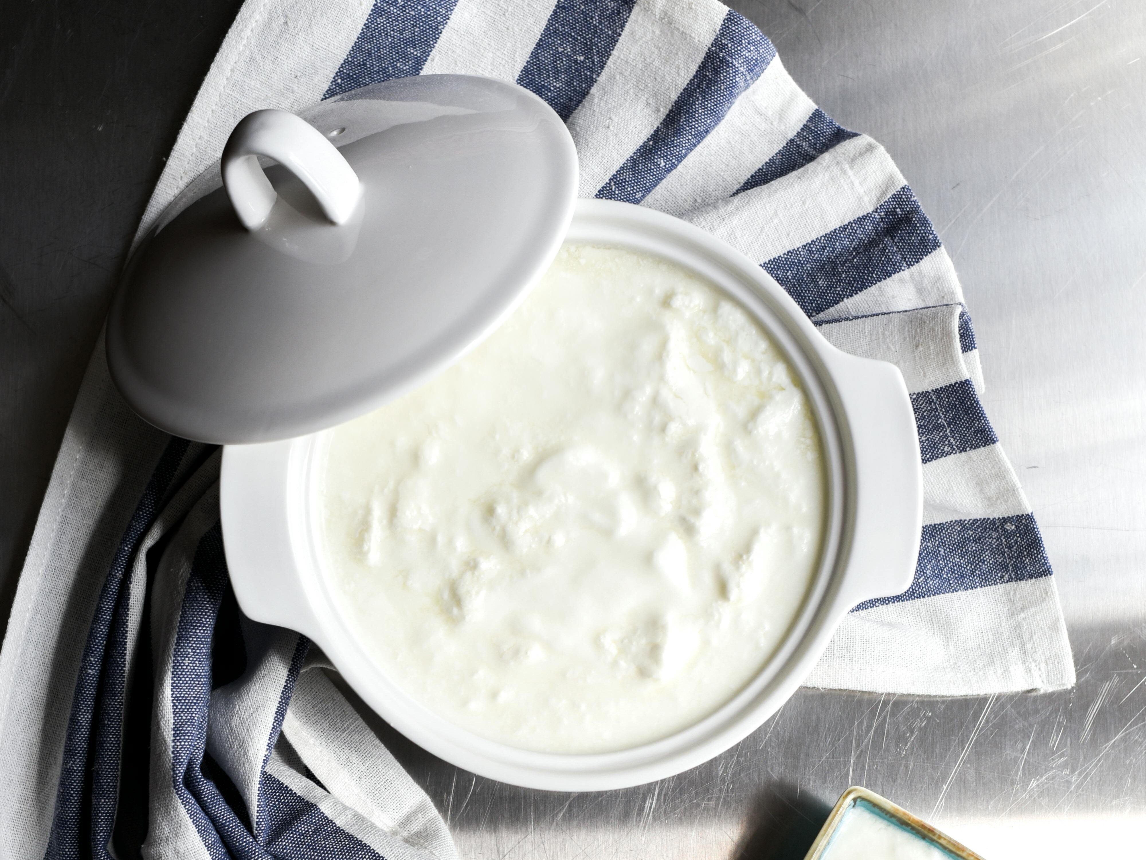 Can You Have Curd During Cold And Cough
