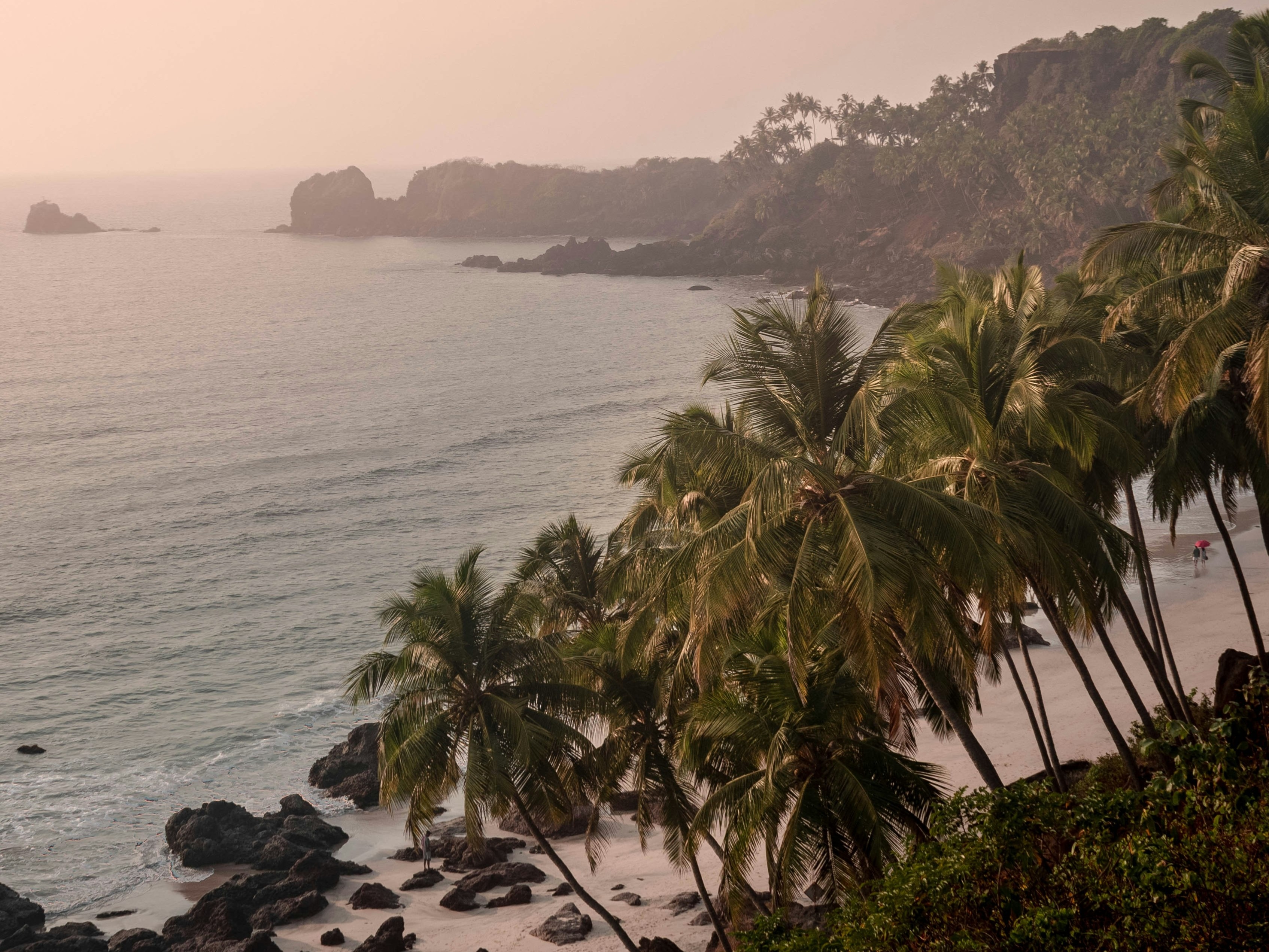 Climate Change Is Coming For Your Chocolate