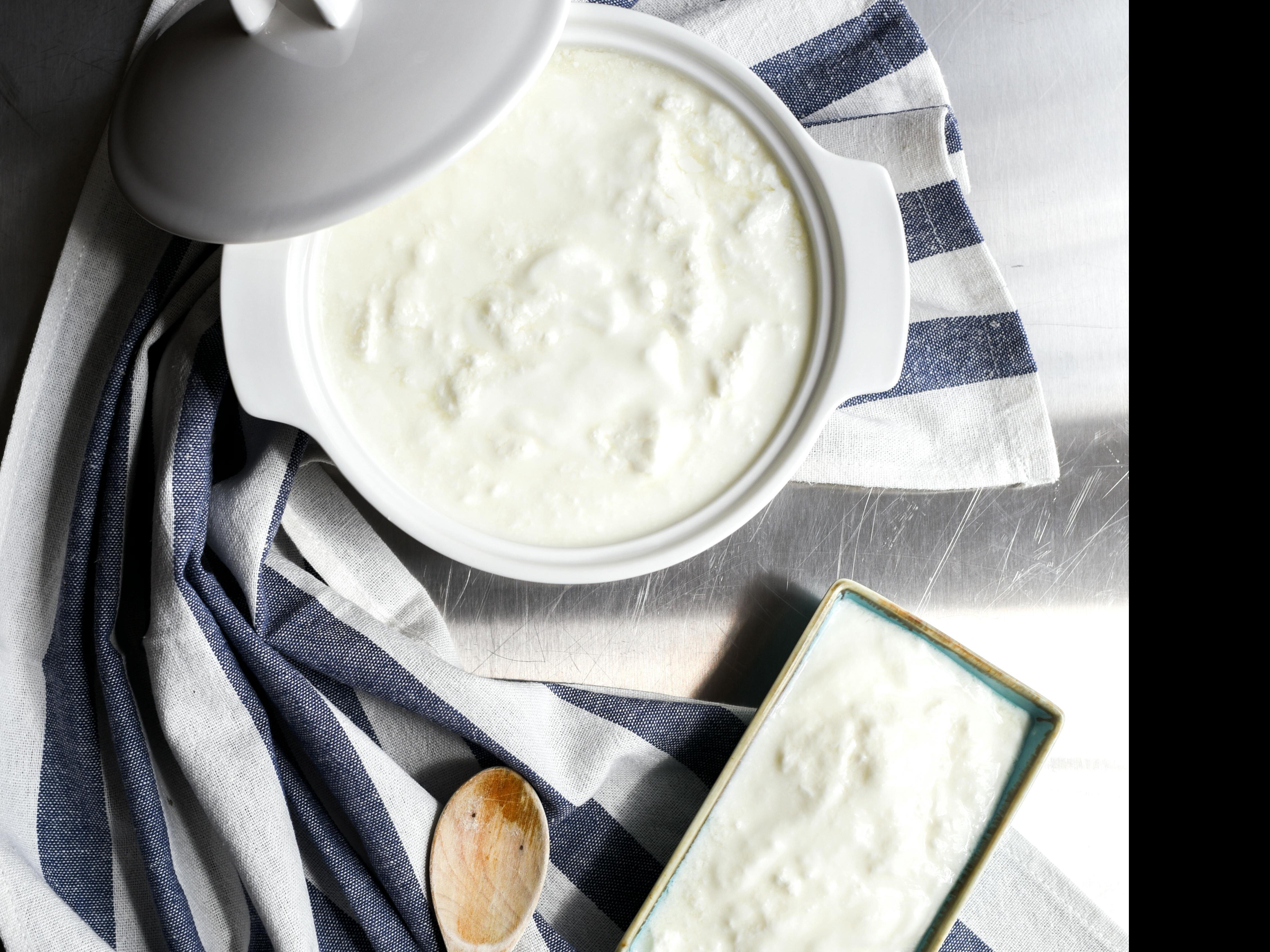 Curd Vs Yoghurt: What's The Difference