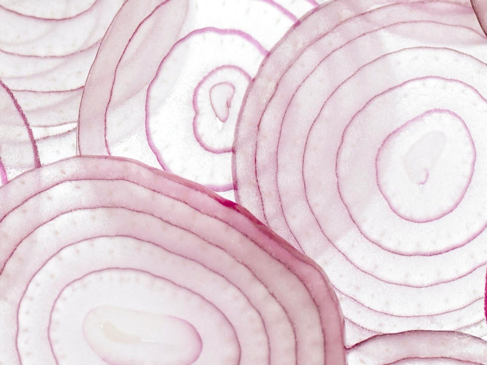 Different Types Of Onions Different Types Of Onions