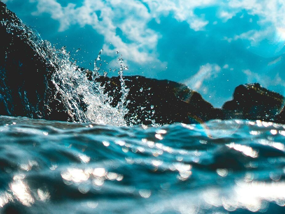 Earth's Oceans Are Turning Green. Here's Why