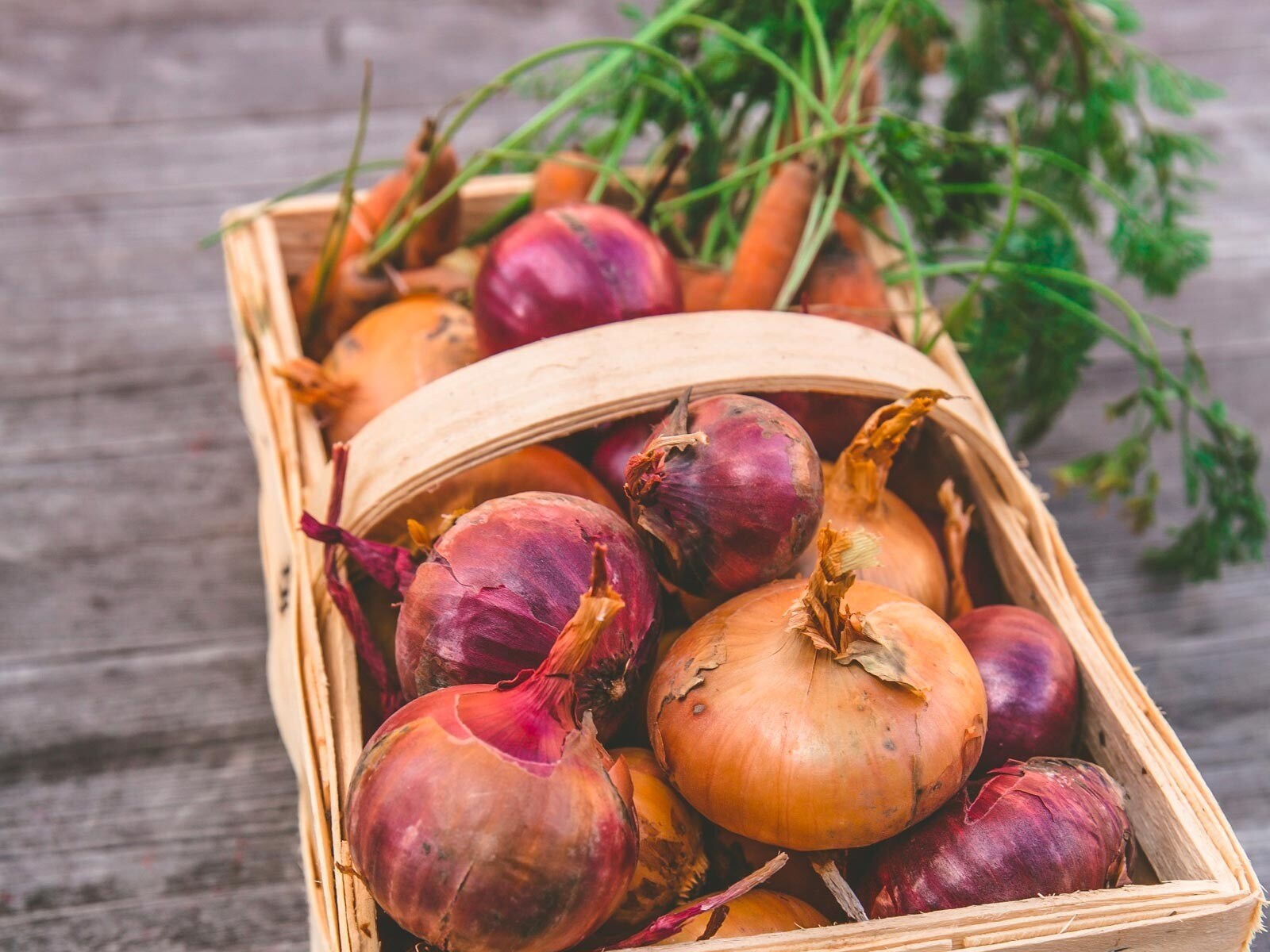 Effective Substitute Of Onion