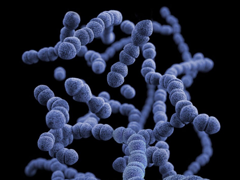 Flesh-Eating Bacteria In Japan: Symptoms, Prevention