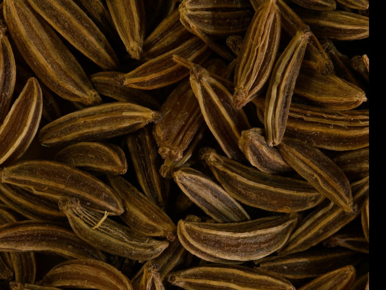 Health Benefits Of Caraway Seeds