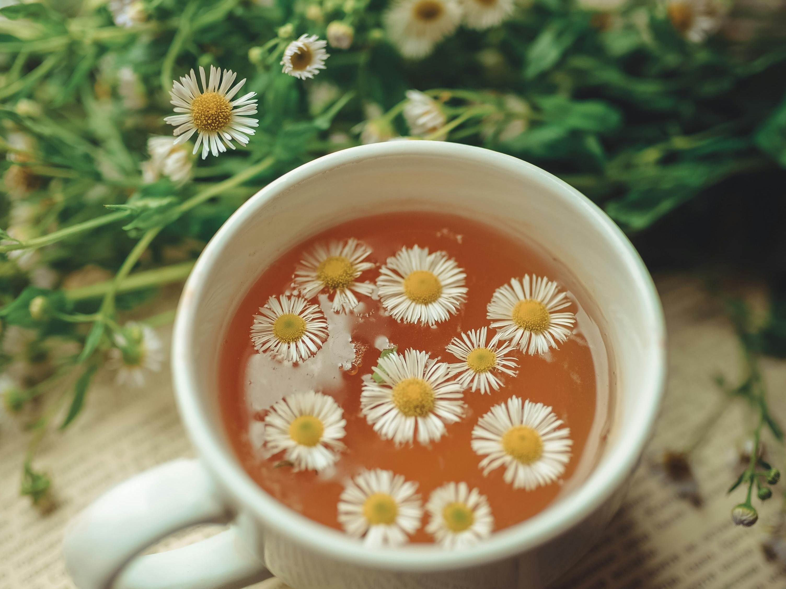Health Benefits Of Chamomile Tea