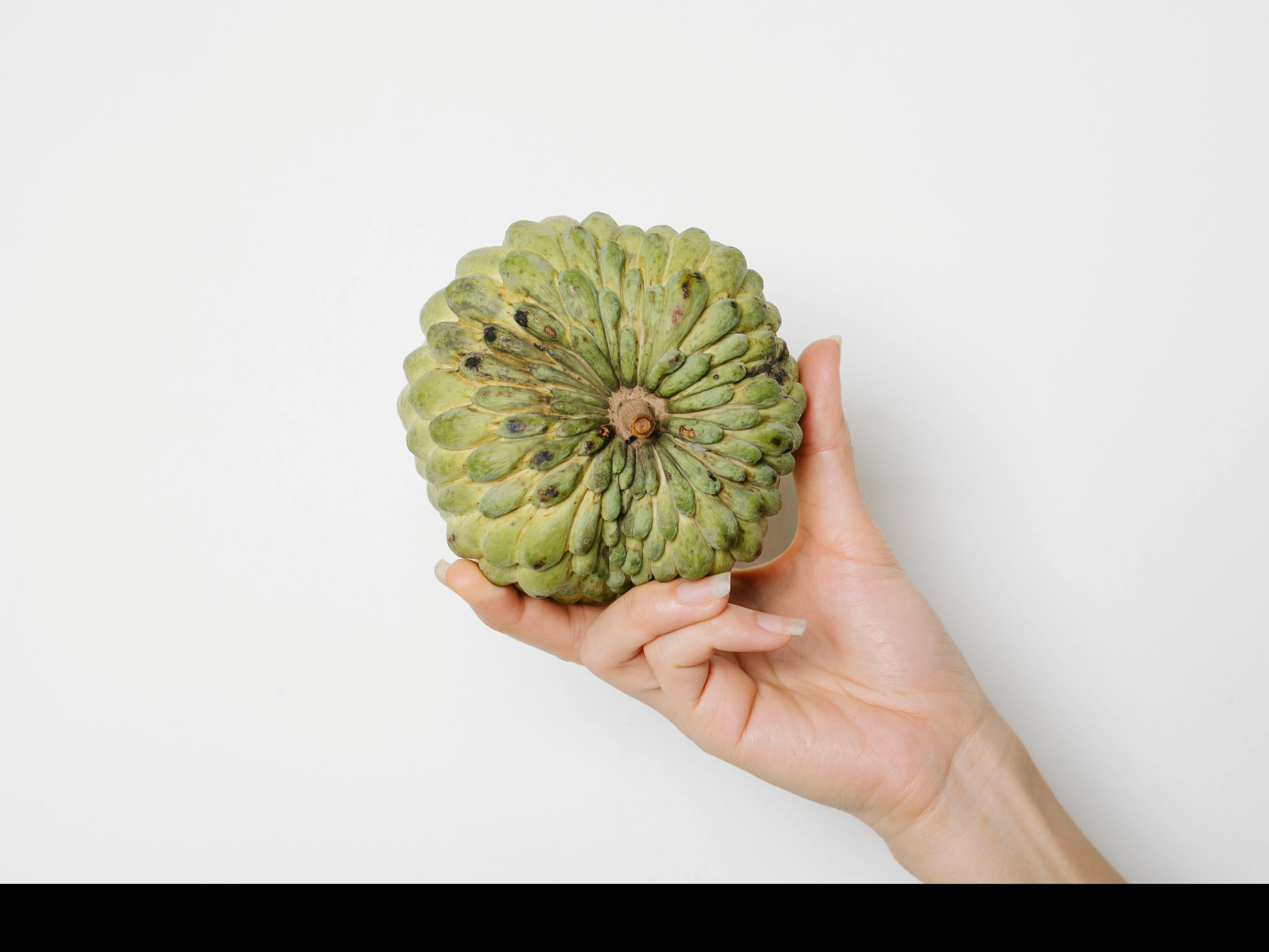 Health Benefits Of Custard Apple