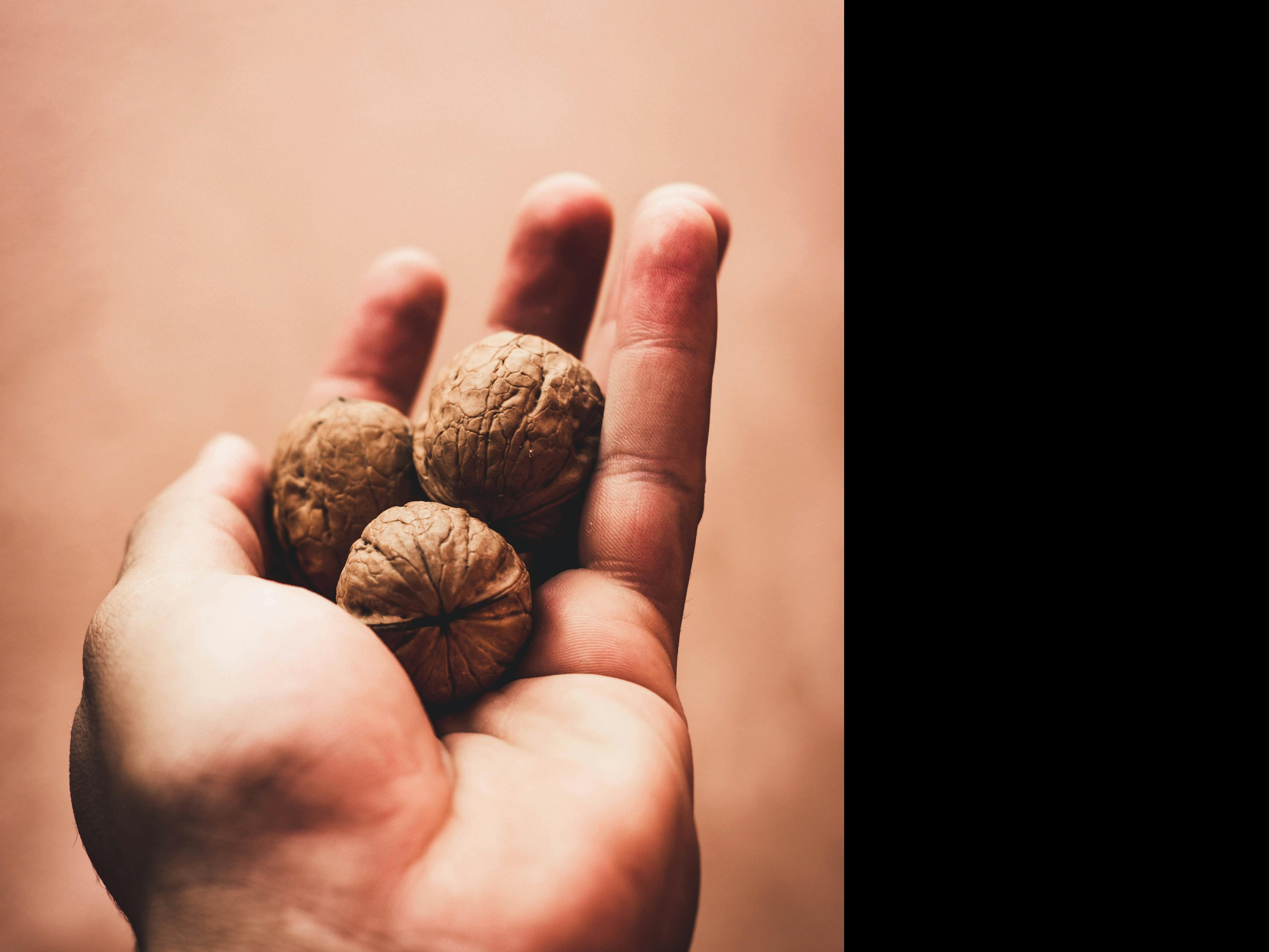 Health Benefits Of Eating Walnuts Daily