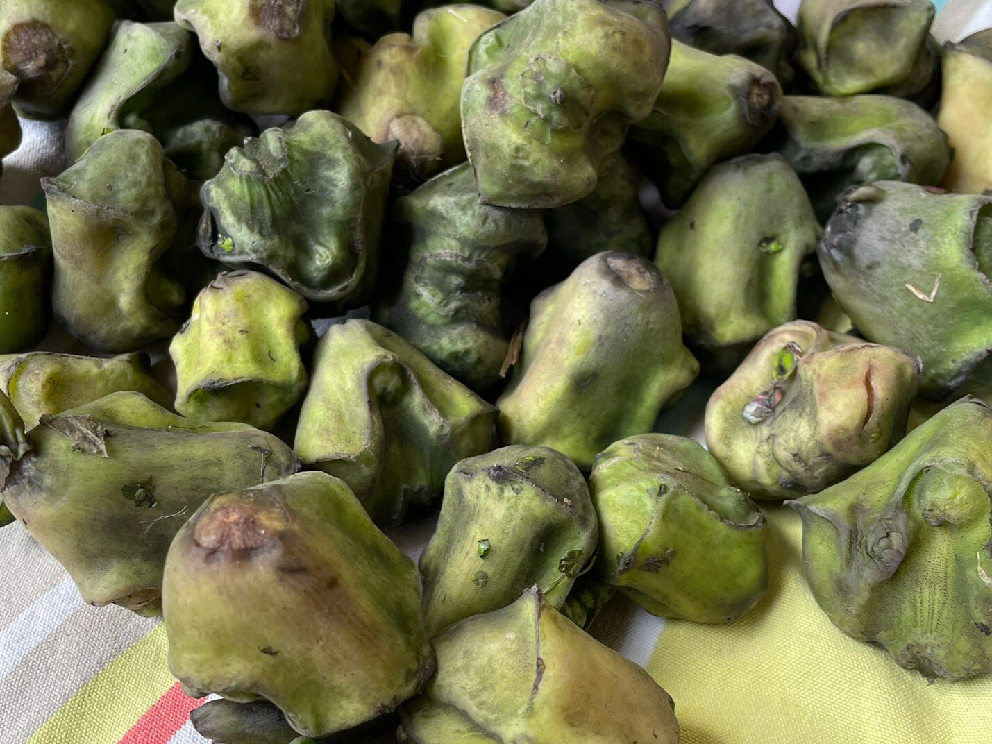 Health Benefits Of Water Chestnuts