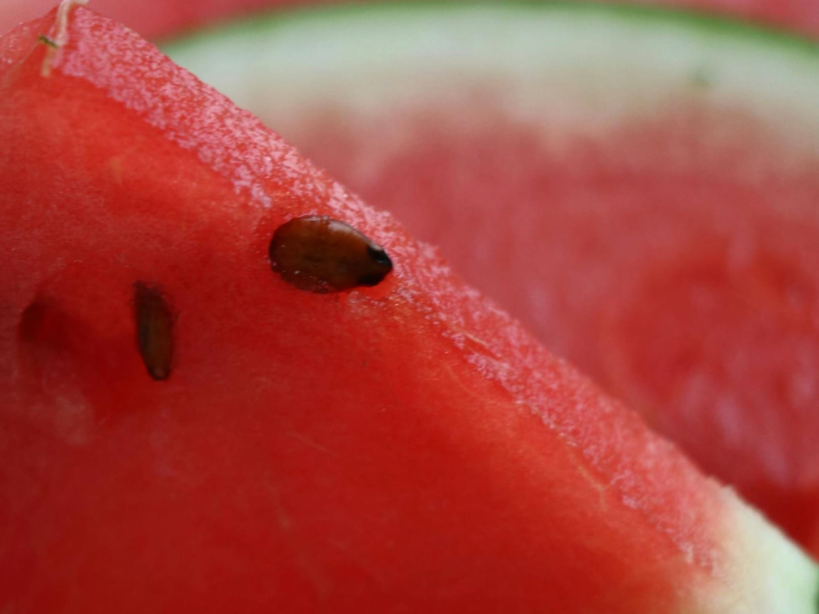 Health Benefits Of Watermelon