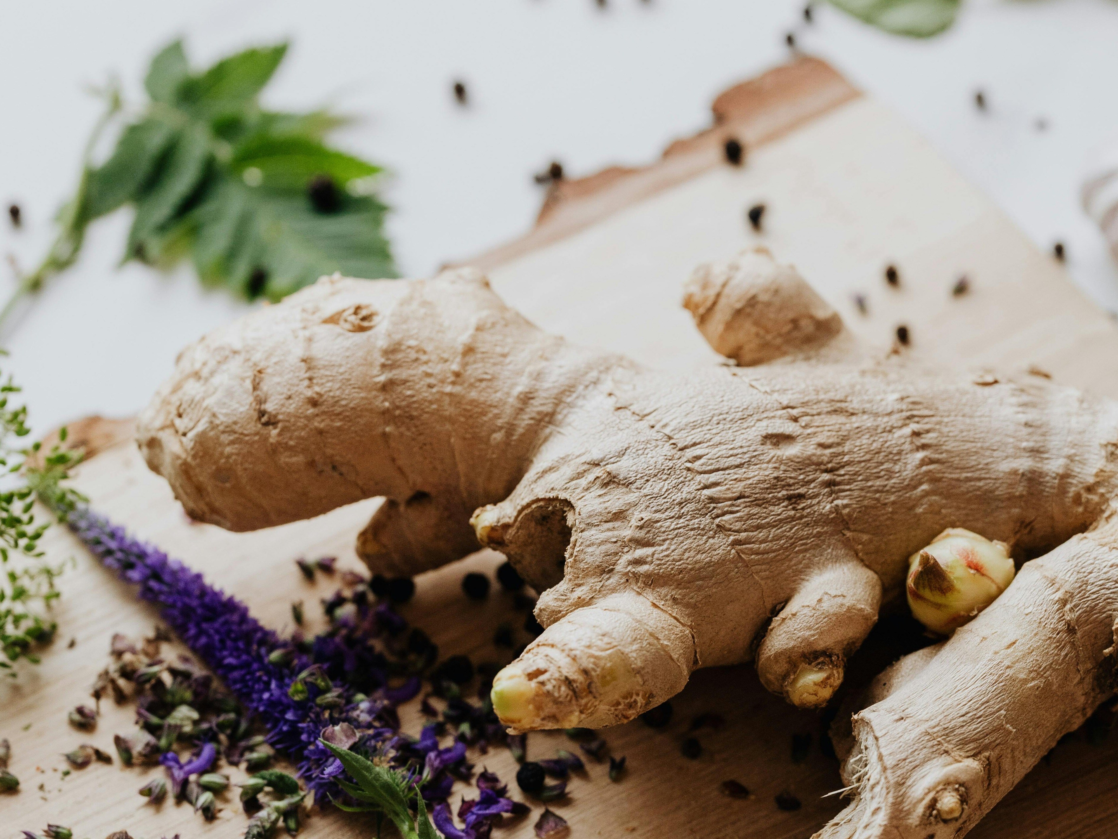 Herbs That Aid In Digestion Naturally