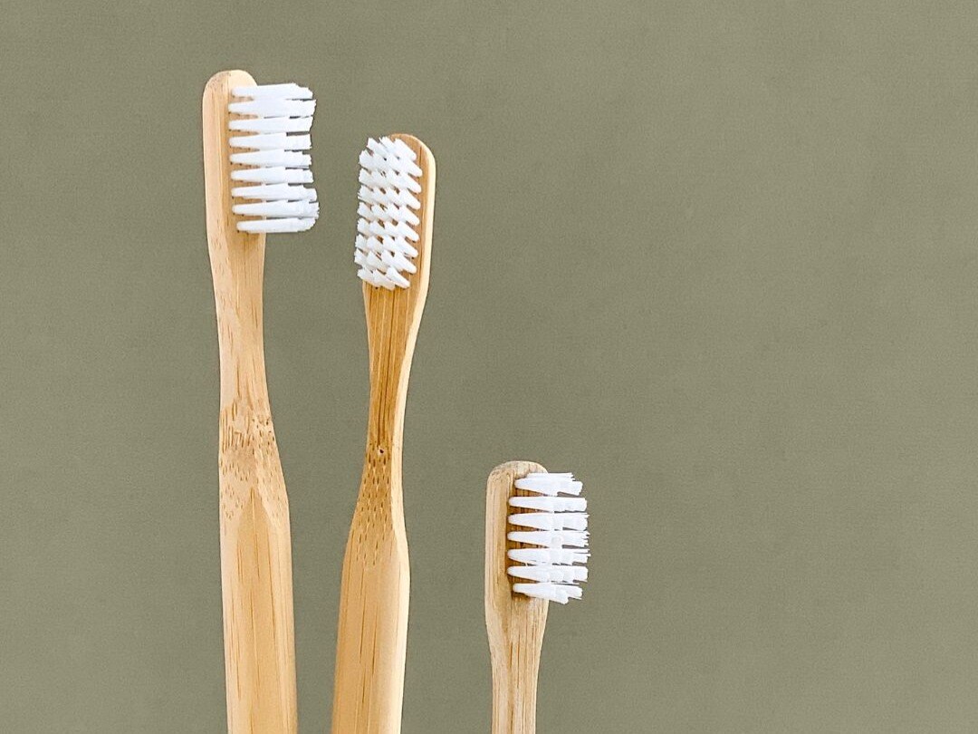 Toothbrush History: या प्राण्याच्या केसांपासून तयार करण्यात आला होता ...