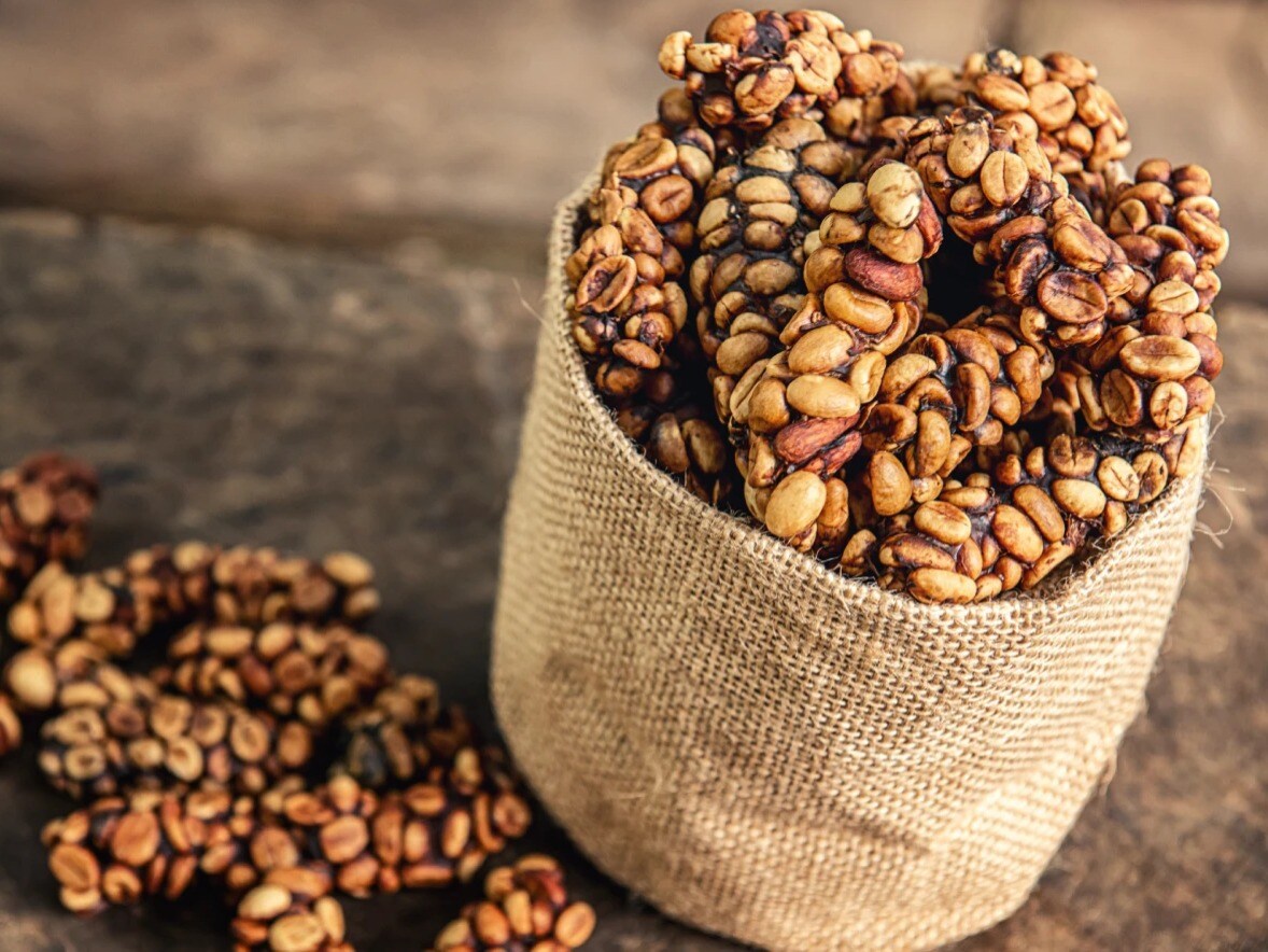 How Much Does The World's Most Expensive Coffee Cost?