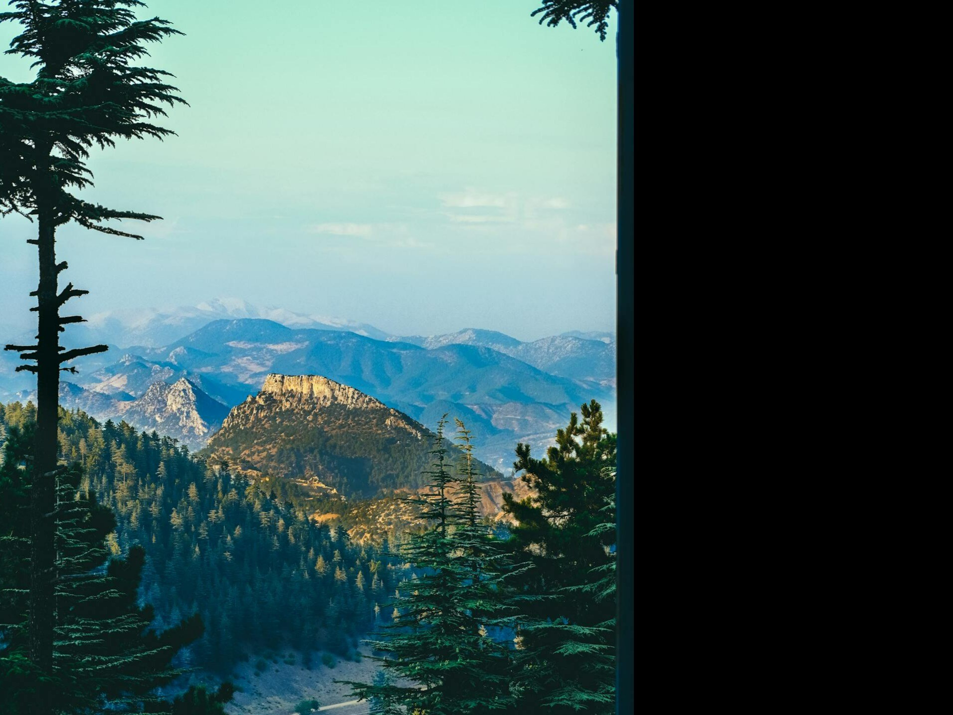 Indian States That Share Border With Other Nations