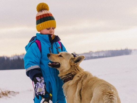 Kid-Friendly Dog Breeds In India