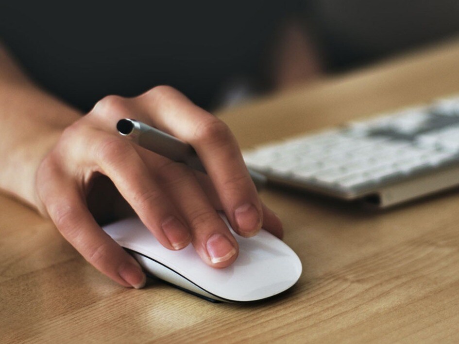 List Of Weirdest Jobs In The World