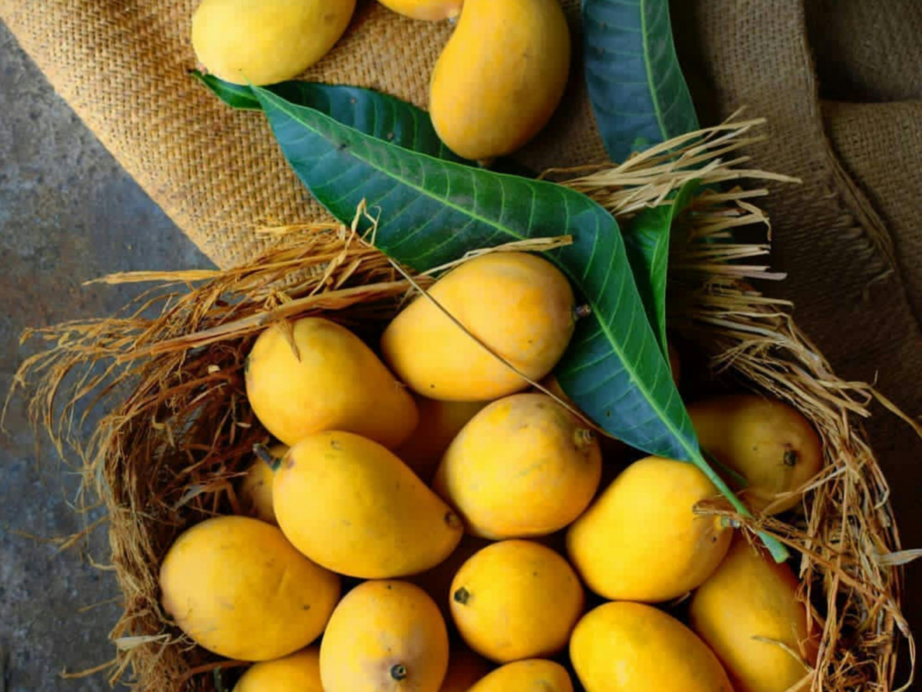Mango: Know Top Health Benefits