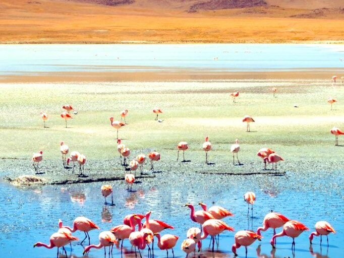 Most Colourful Lakes In The World