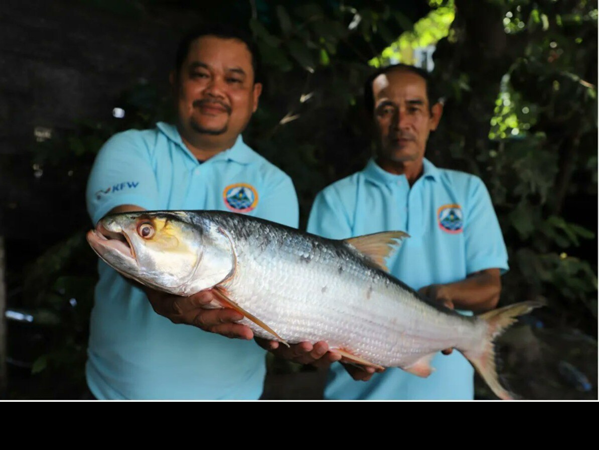 Once Feared Extinct, This Fish Reappears After 2 Decades