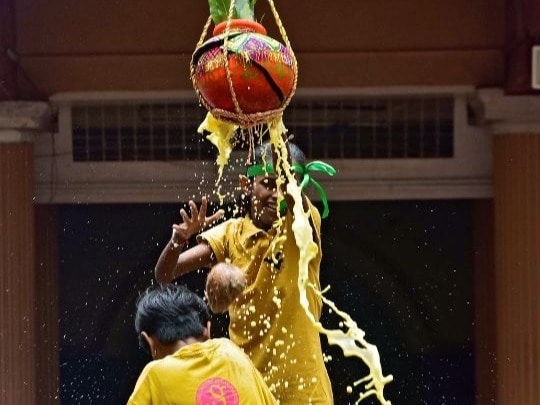 Significance Of Dahi Handi Festival
