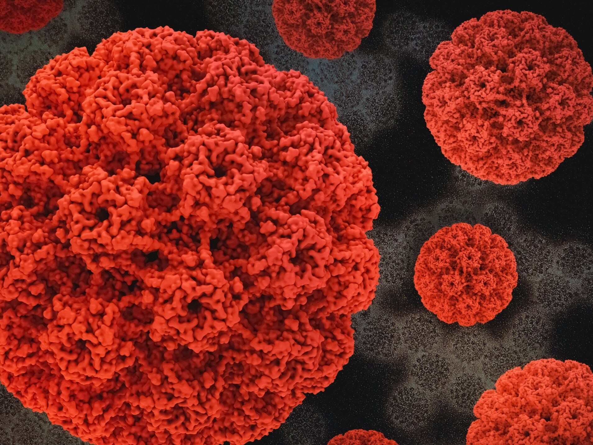Signs And Symptoms Of HPV (Human Papillomavirus)