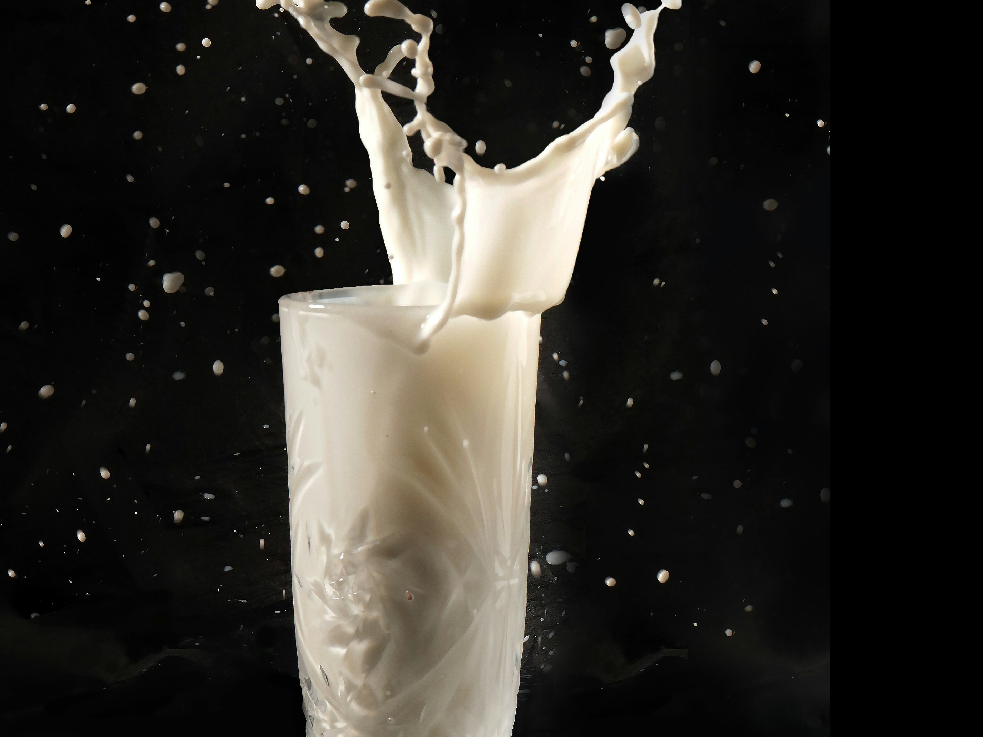 The Most Expensive Milk In The World