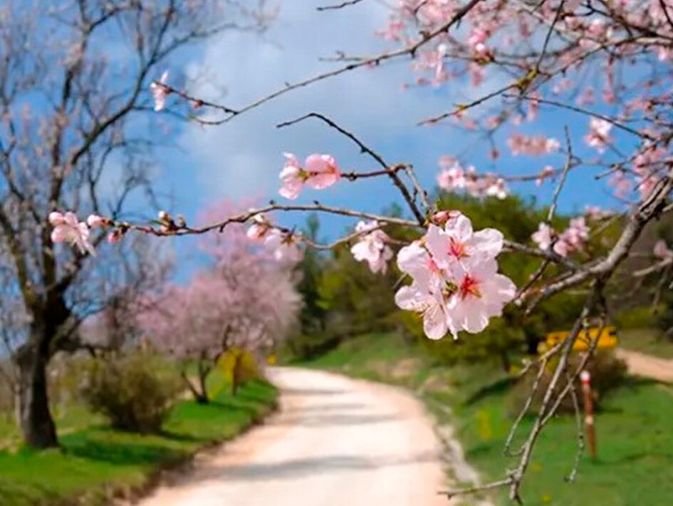 UNESCO Designates 11 New Biosphere Reserves: Full List