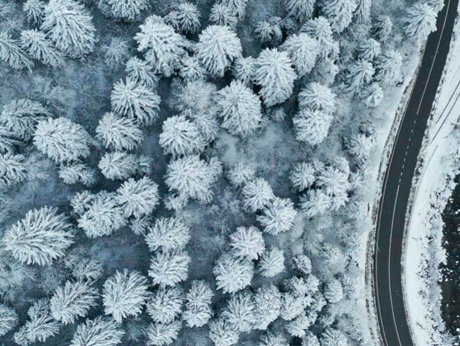 What Is Polar Vortex And Why It's In News?