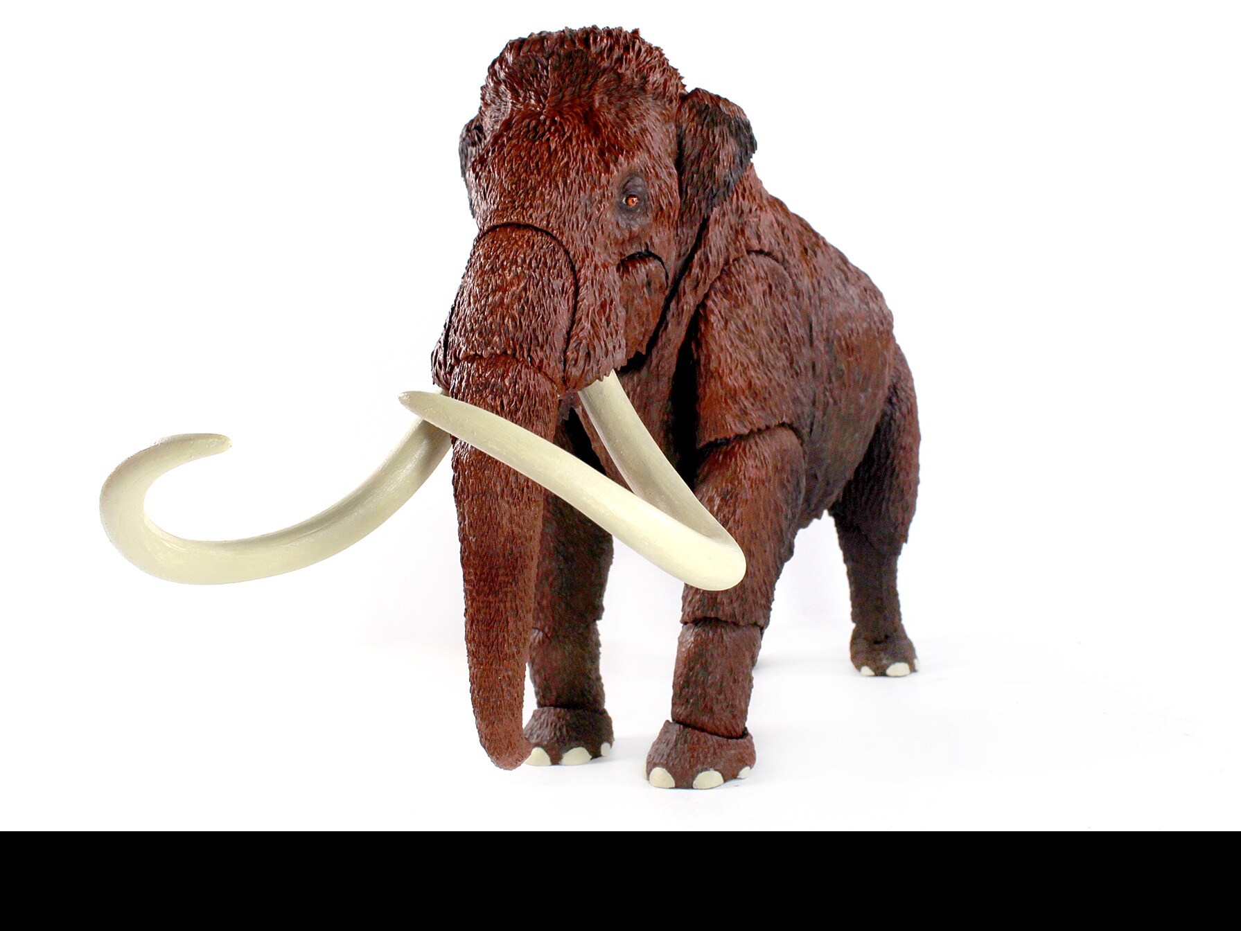 Woolly Mammoth: All About Mighty Extinct Animal