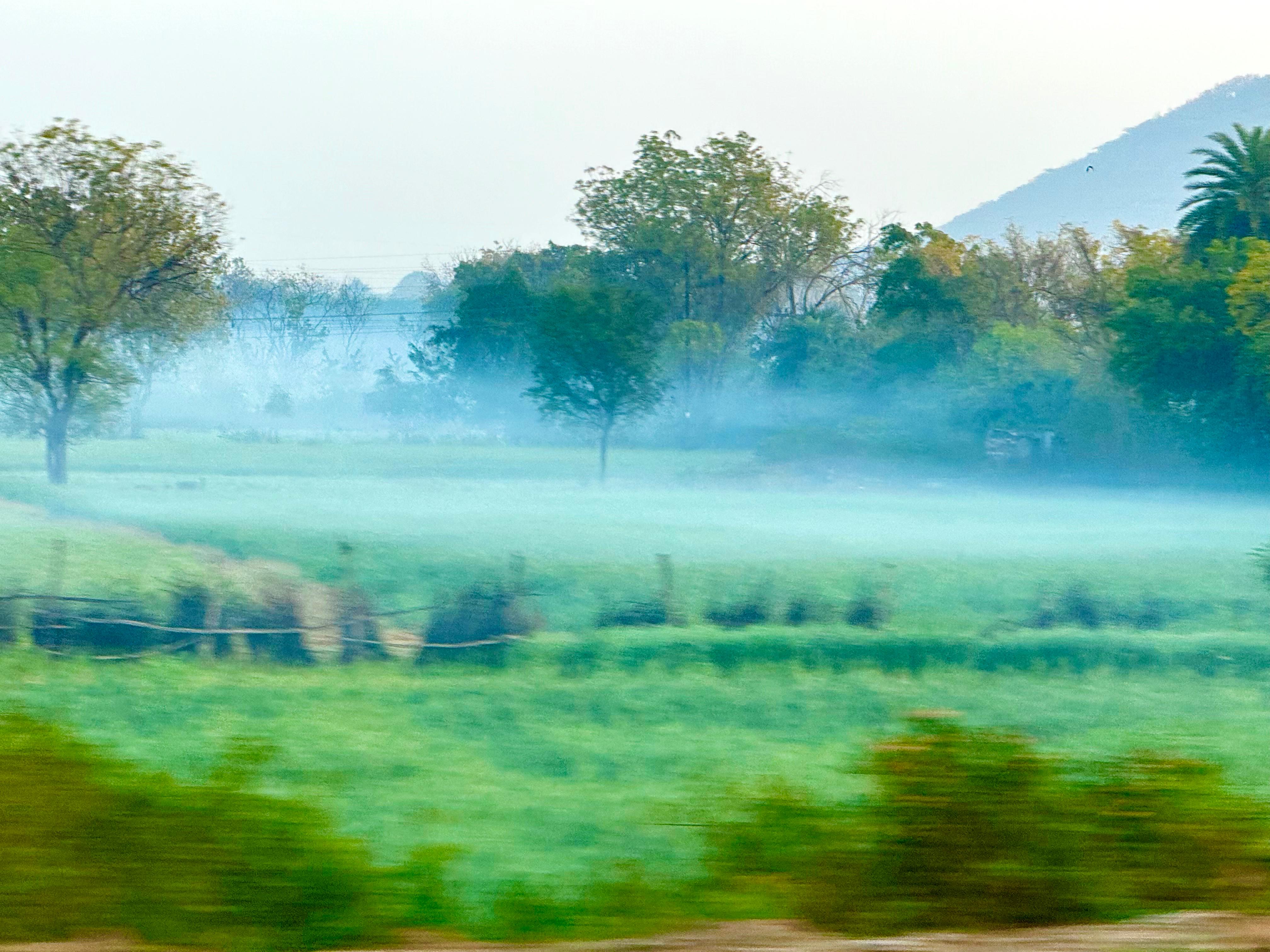 Monsoon Update - Agriculture Sector Not Out Of The Woods Yet: CareEdge