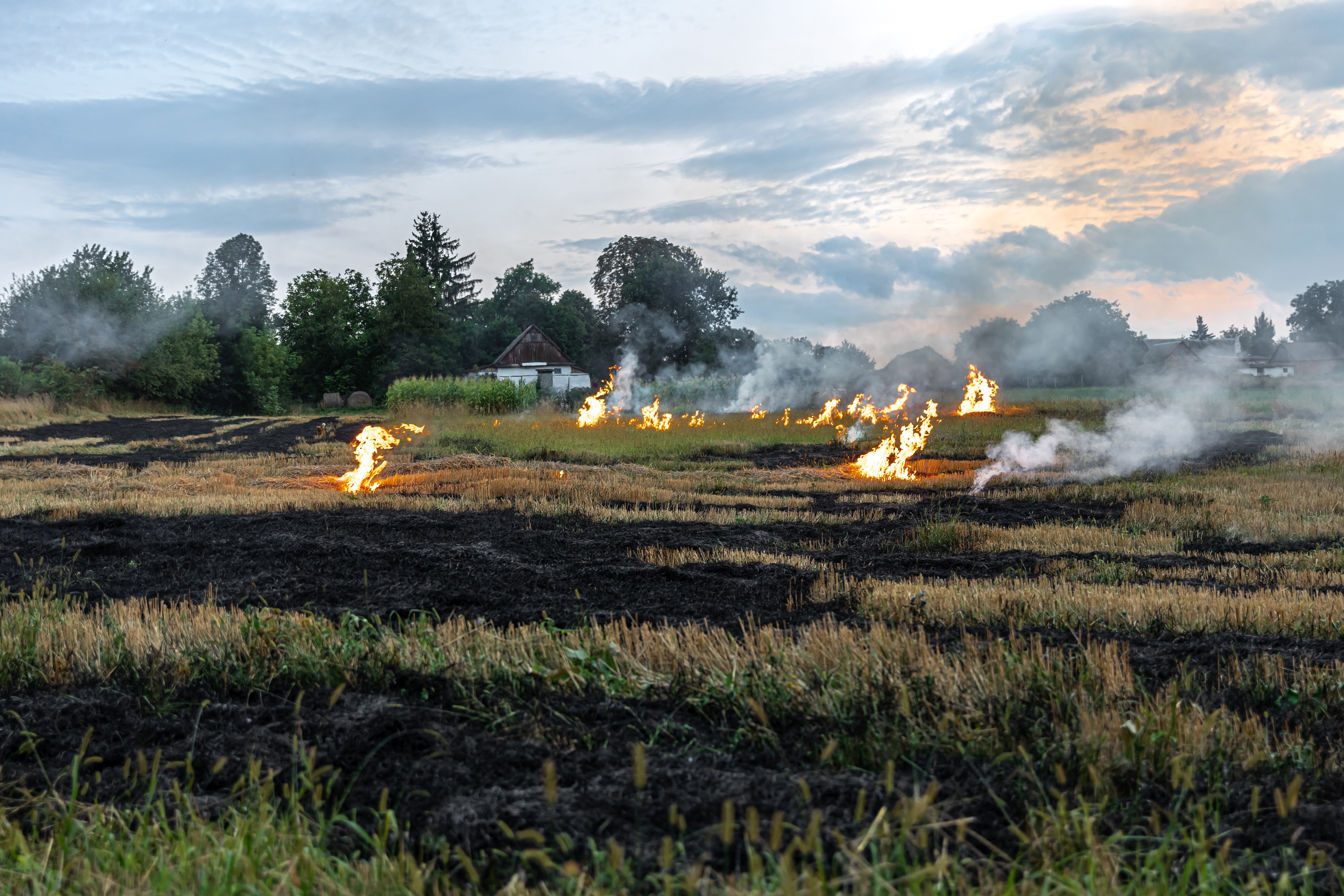 Supreme Court Rejects Activist’s Plea On Stubble Burning Measures In ...
